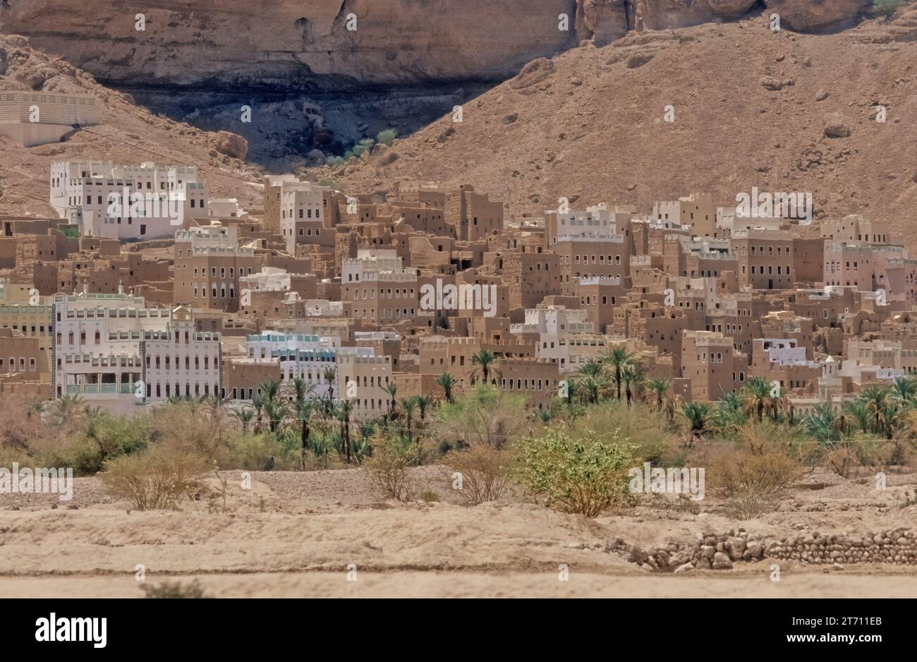 The family traces its origins to Awad bin Laden from the village of al ...