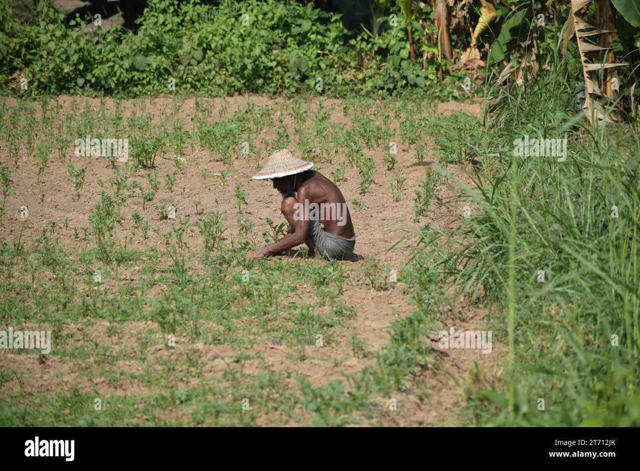 Farmers of Bangladesh Stock Photo - Alamy
