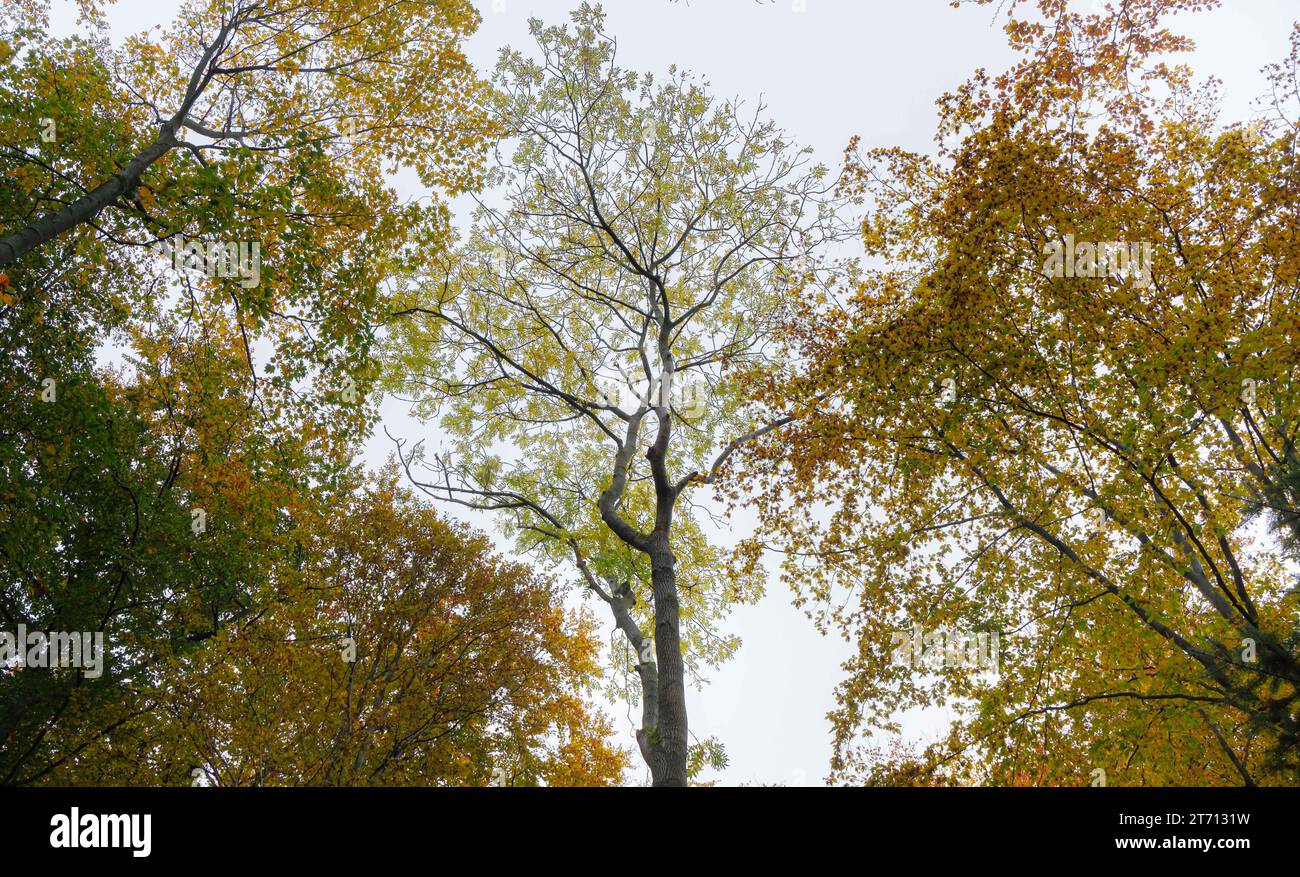 PRODUCTION - 01 November 2023, Schleswig-Holstein, Reinfeld In Holstein ...