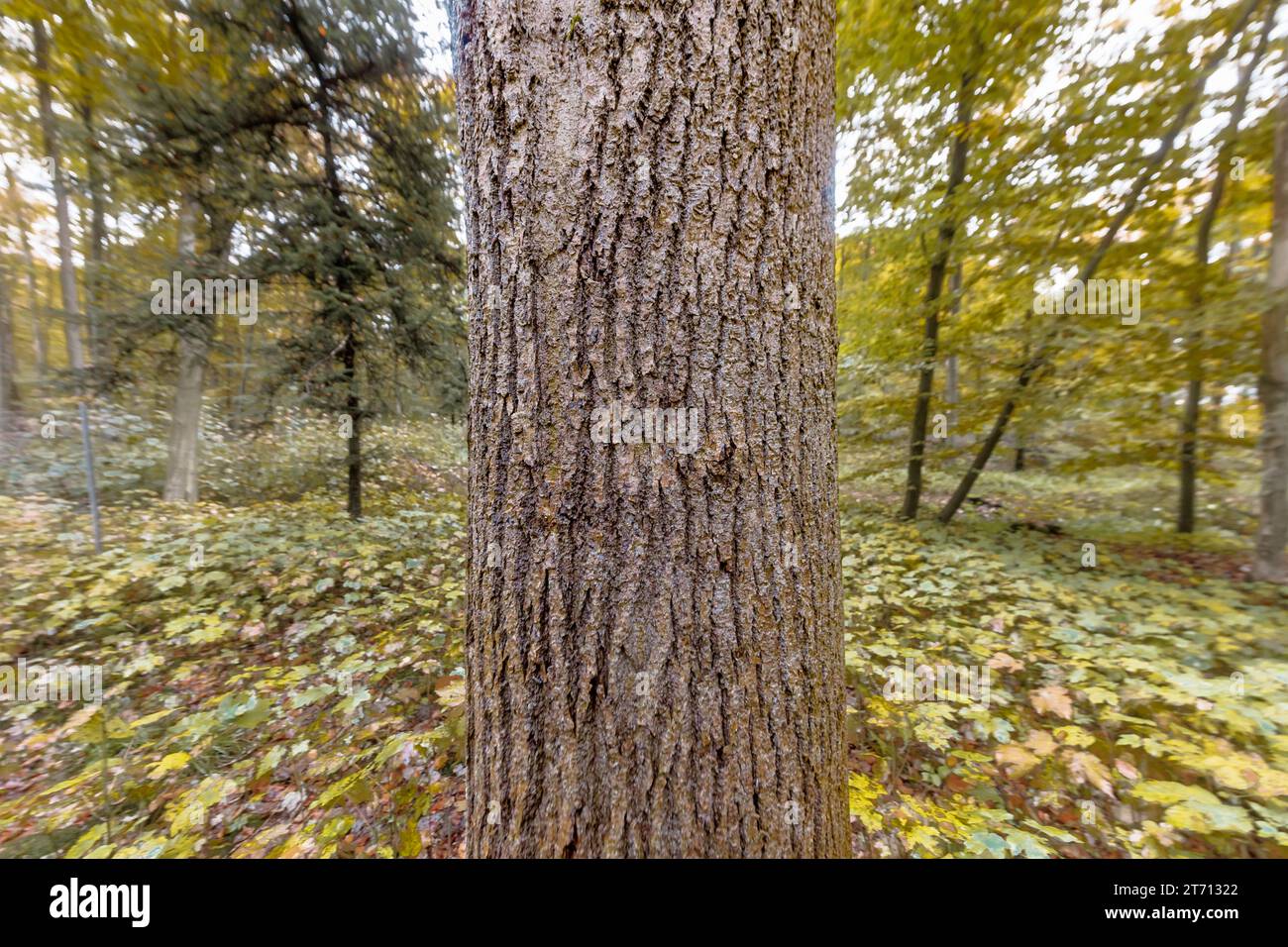 Fungal resistance hi-res stock photography and images - Alamy