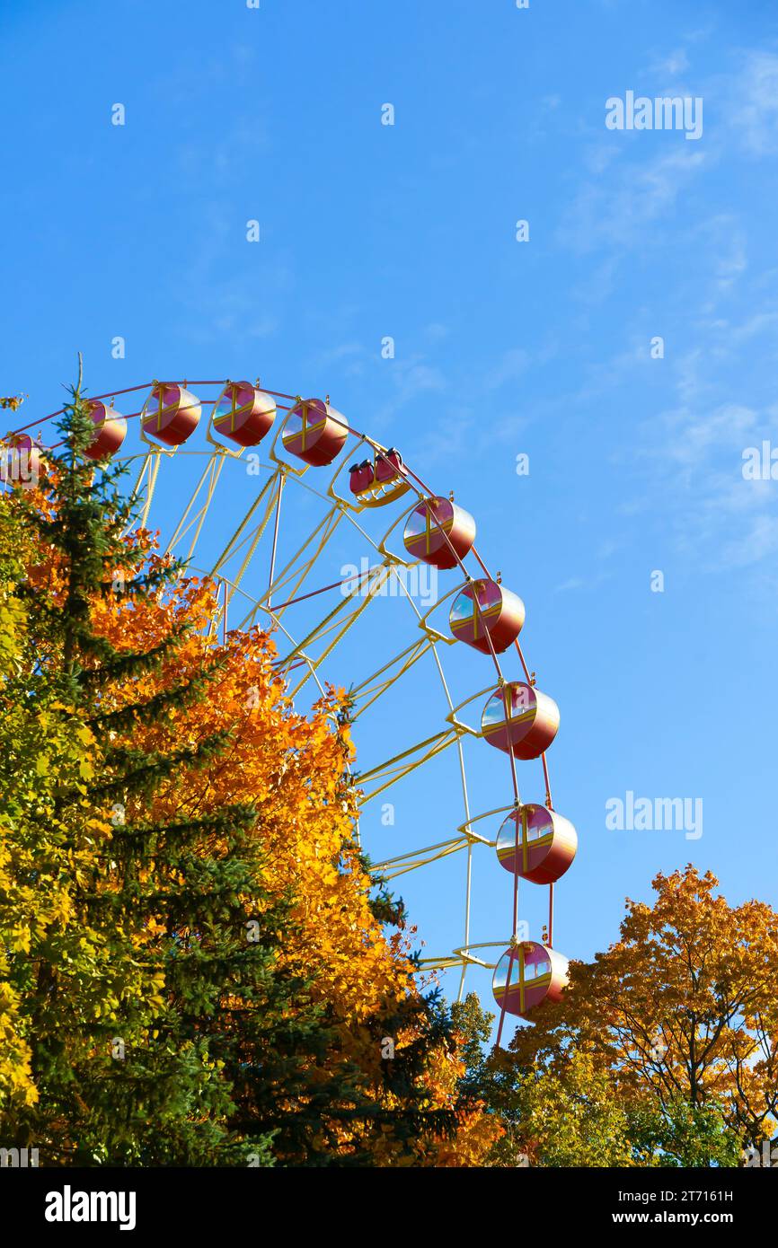 Ferris wheel in the amusement park against the background of the summer ...