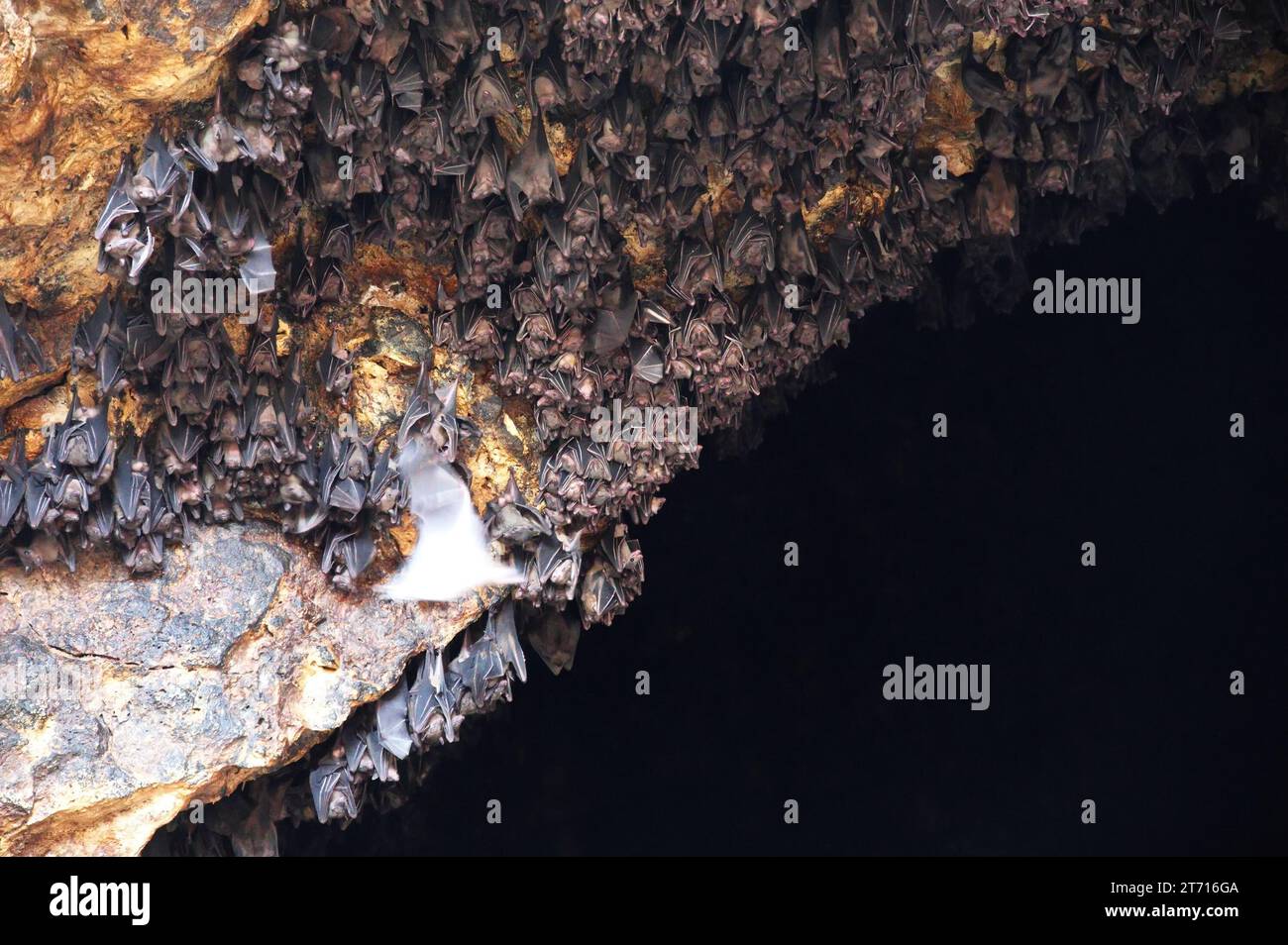 Black cave wall hi-res stock photography and images - Alamy