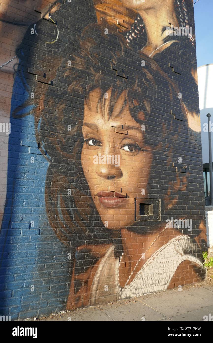 Los Angeles, California, USA 12th November 2023 Street Art Mural of ...