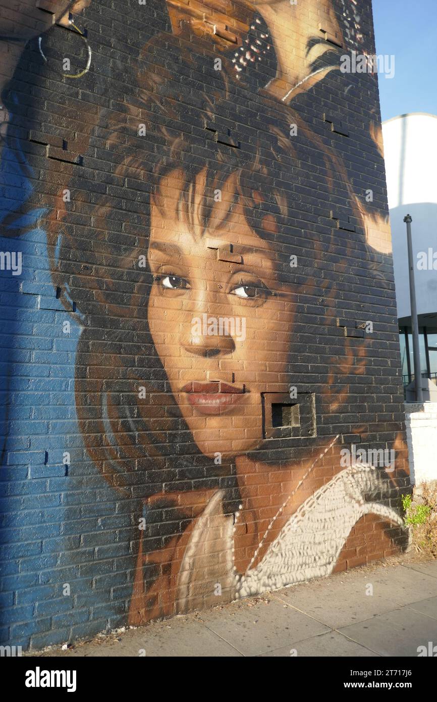 Los Angeles, California, USA 12th November 2023 Street Art Mural of ...