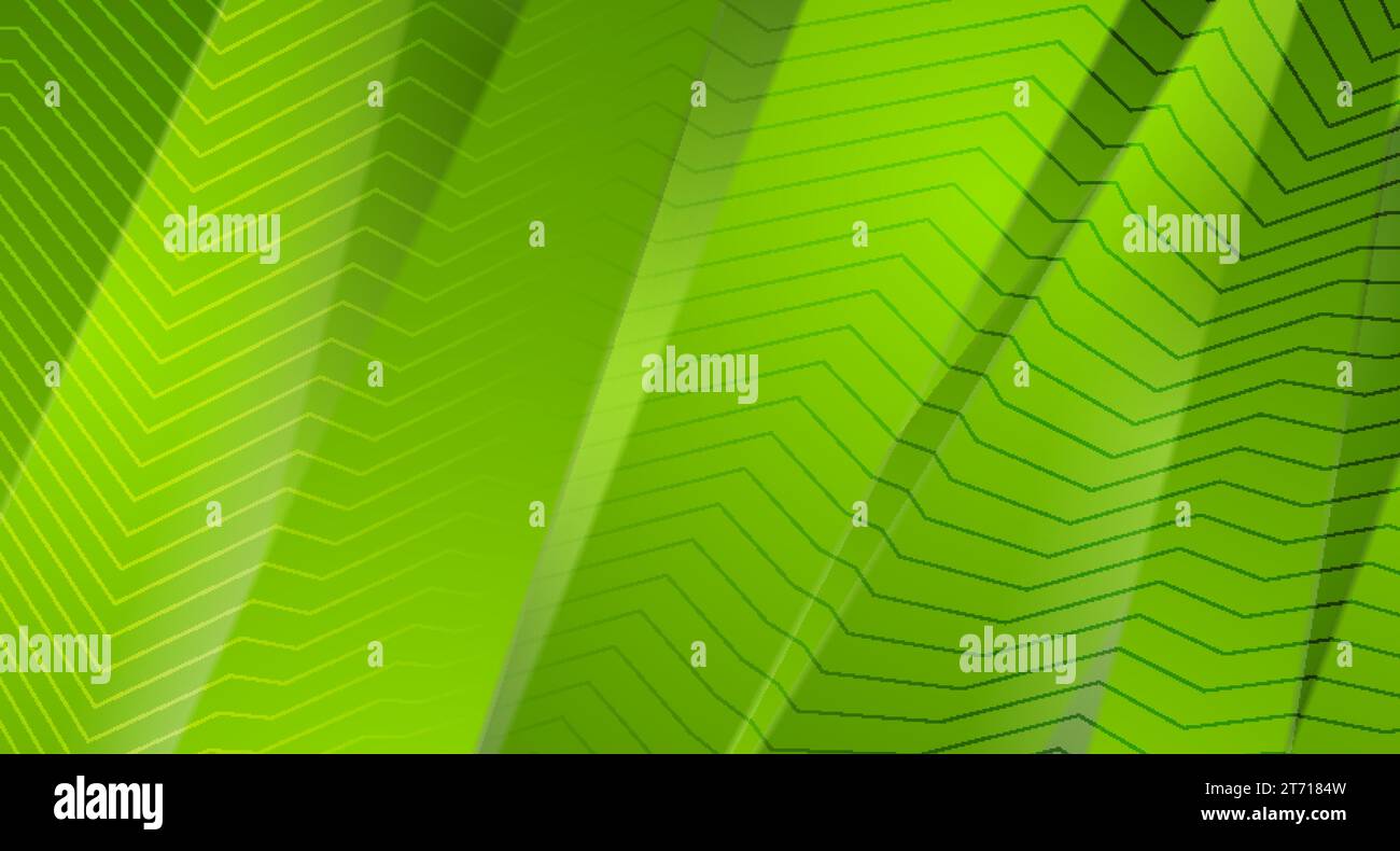 Green stripes and lines abstract corporate background. Vector graphic ...