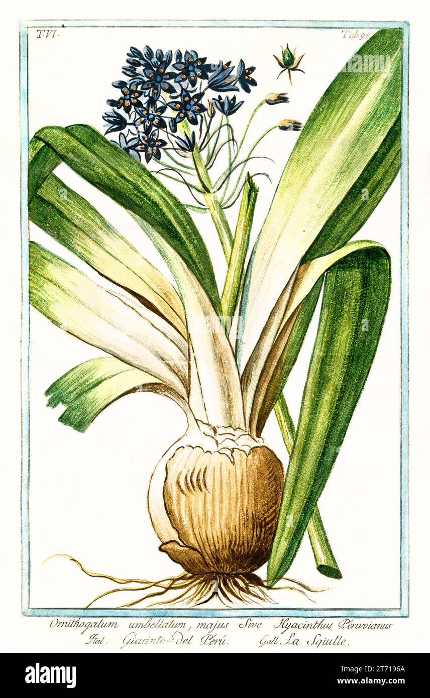 Ancient rome painting garden Cut Out Stock Images & Pictures - Alamy