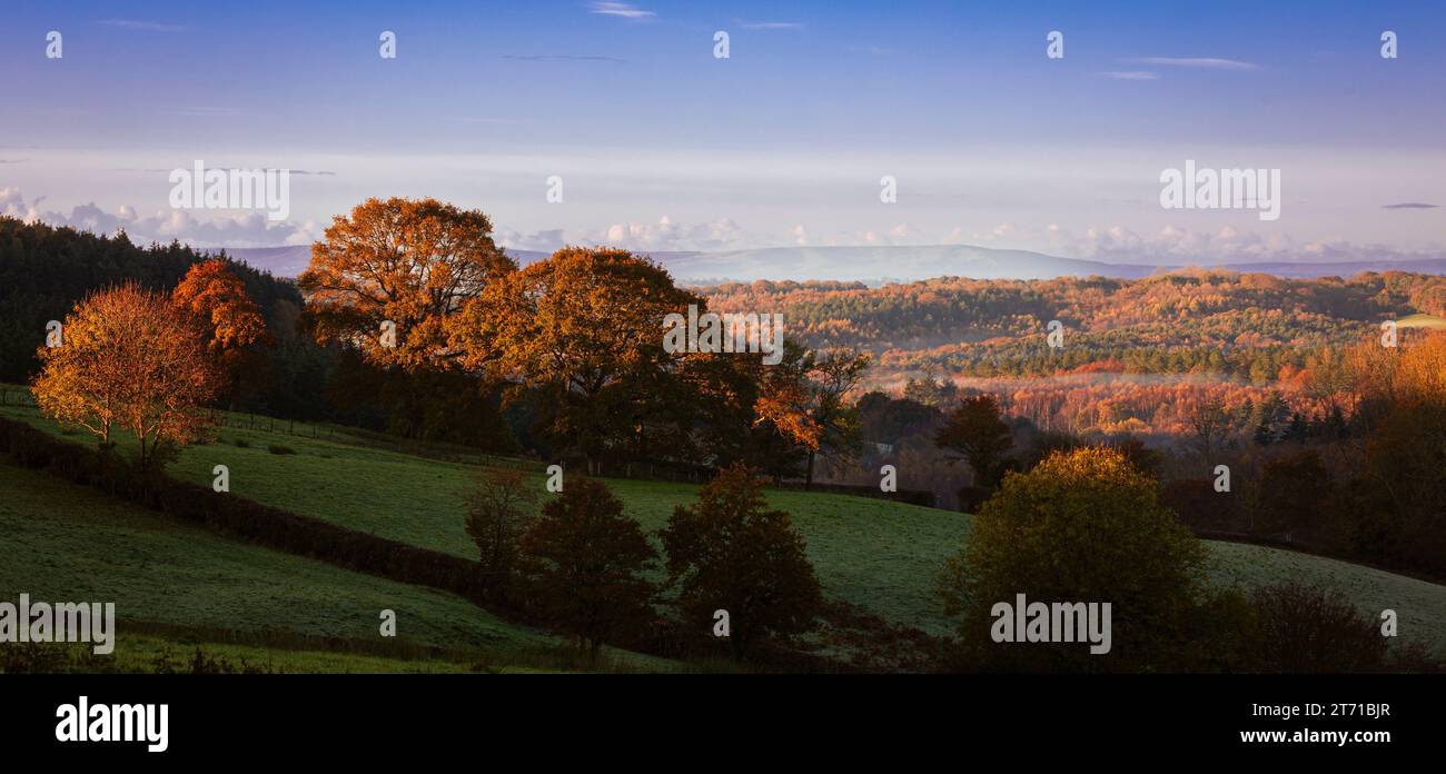 Autumn dawn over the high weald to the south downs near Penhurst east ...