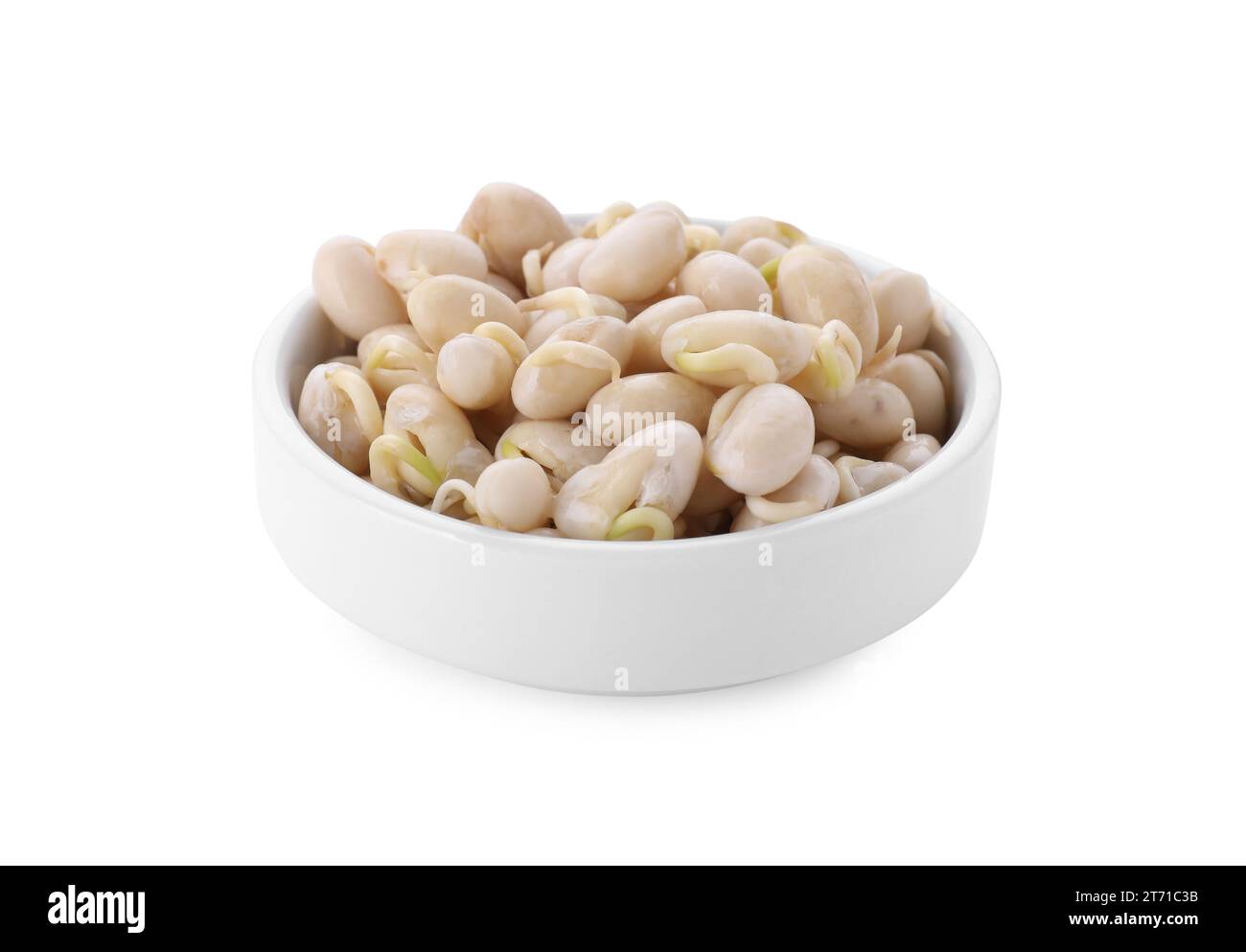 Germination of beans Cut Out Stock Images & Pictures - Alamy