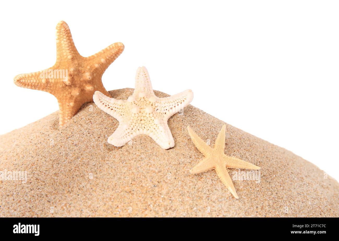 Sand with many beautiful sea stars isolated on white Stock Photo - Alamy