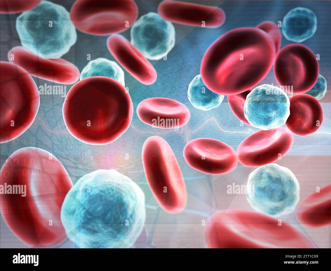 Red and white blood cells. 3d illustration Stock Photo - Alamy