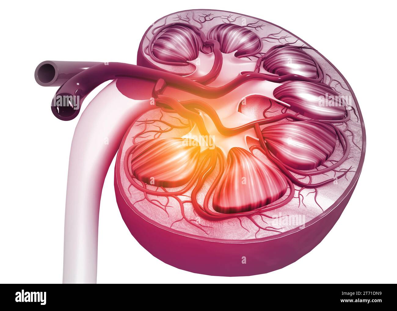 Three dimensional render human Cut Out Stock Images & Pictures - Alamy