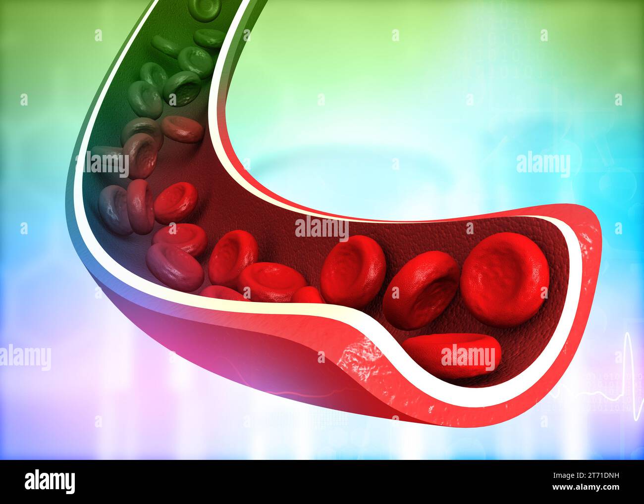 Red blood cells flowing through vein. 3d illustration Stock Photo - Alamy