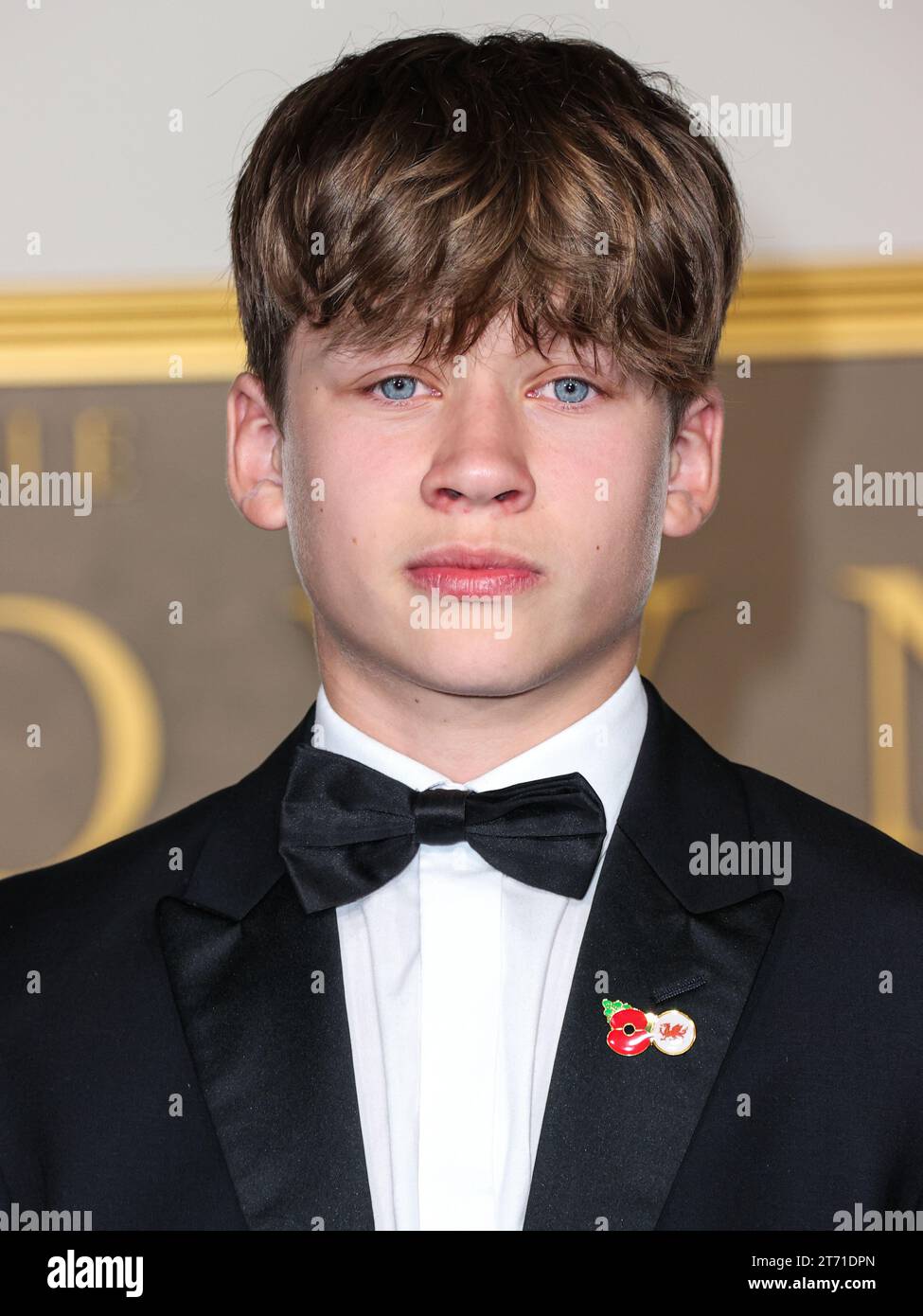 Westwood, United States. 12th Nov, 2023. WESTWOOD, LOS ANGELES ...