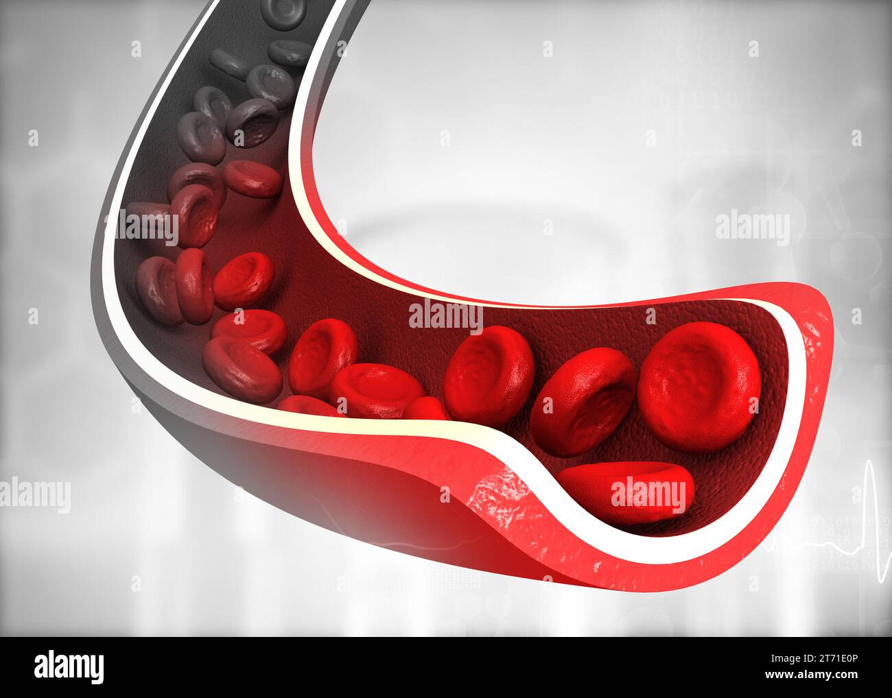 Red blood cells flowing through vein. 3d illustration Stock Photo - Alamy