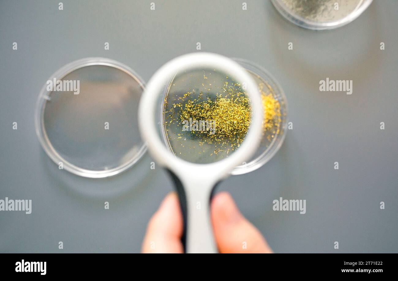 Female scientist hand holding magnifying glass to analyze golden ...