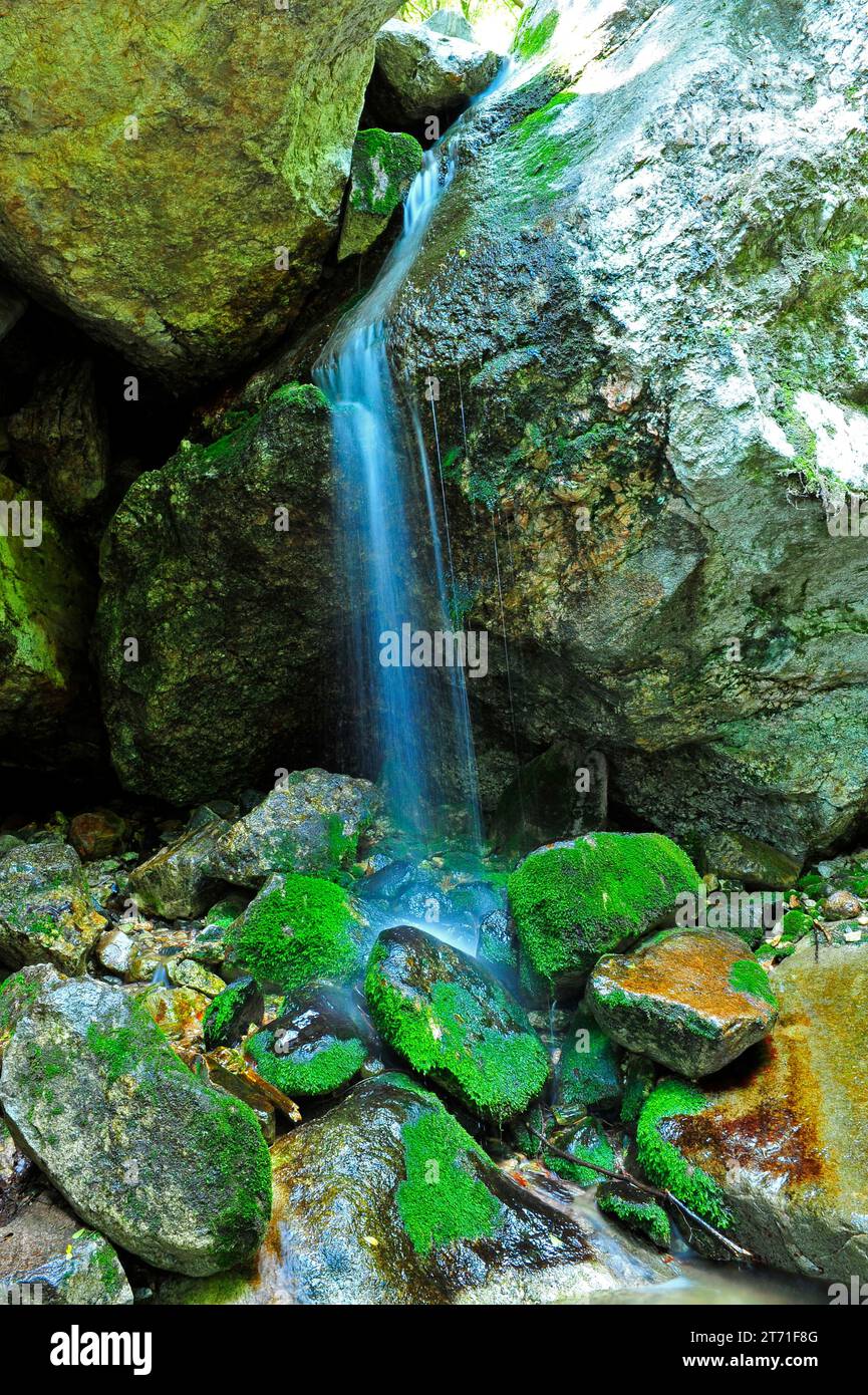 Mountain spring cascade Stock Photo - Alamy