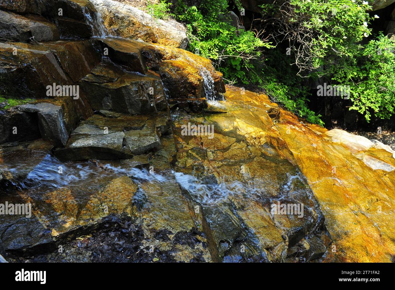 Mountain spring cascade Stock Photo - Alamy