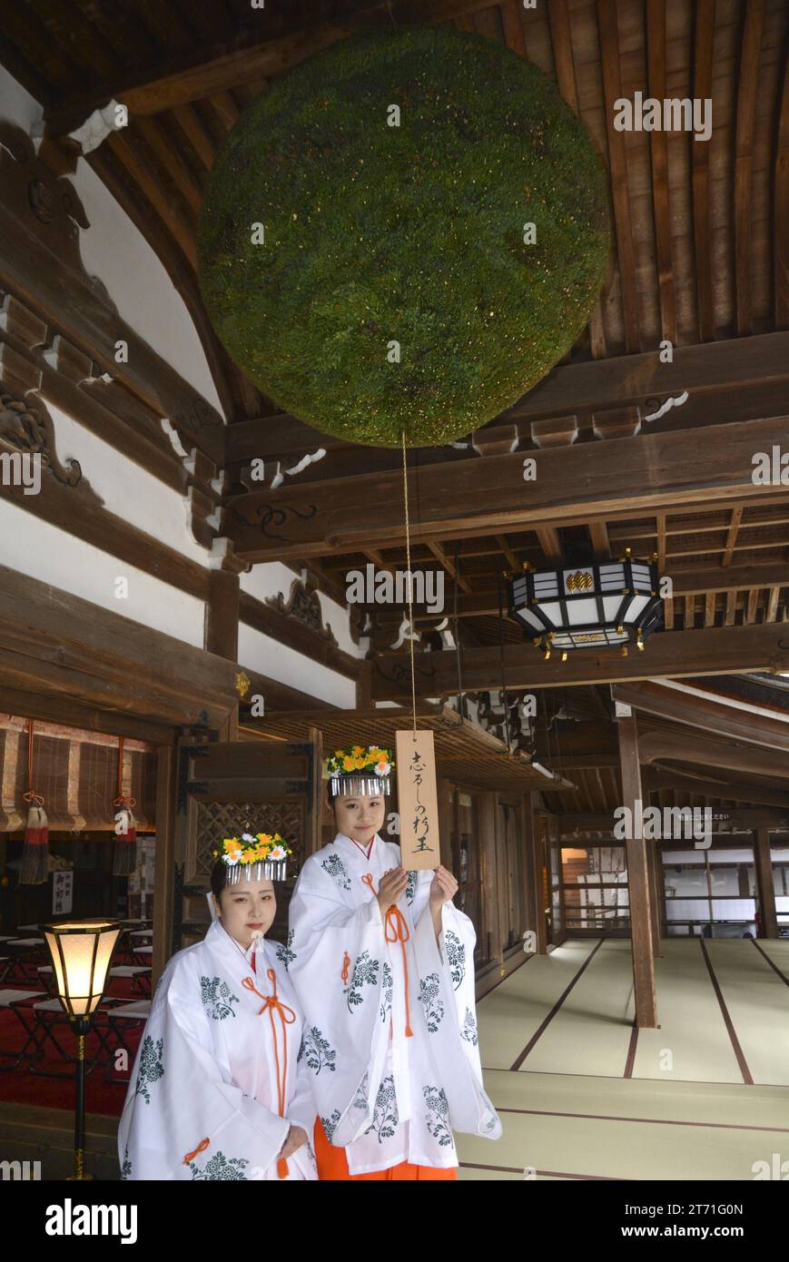Photo taken on Nov. 13, 2023, shows a newly installed "osugidama" cedar ...