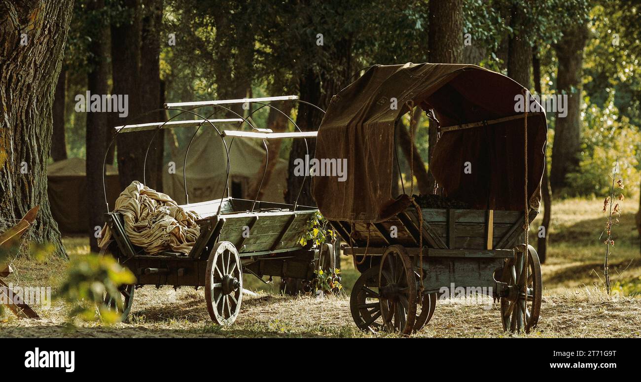 Russian Soviet World War Ii Peasant Carts In Forest. Wwii Equipment Of ...