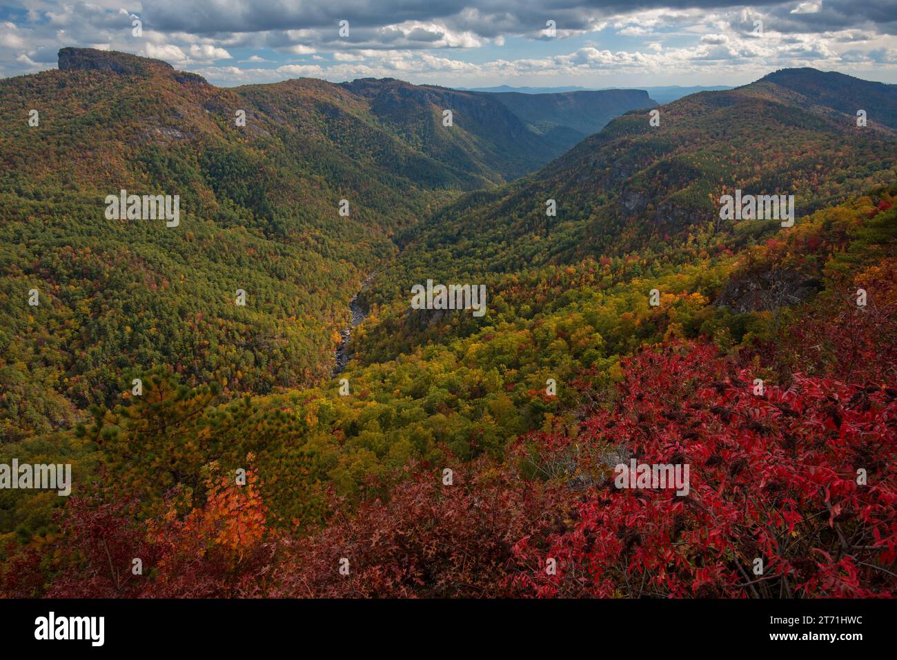 Wiseman's View - Linville Gorge, Blue Ridge Mountains, NC, October 2023 ...