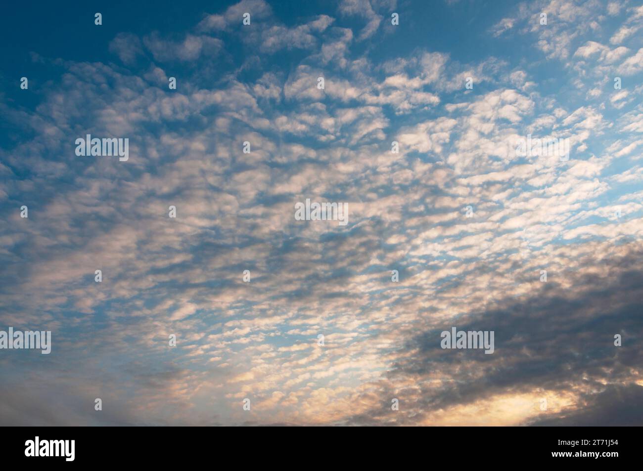 Cirrus clouds floating high in the sky. Blue sky with cirrus clouds ...