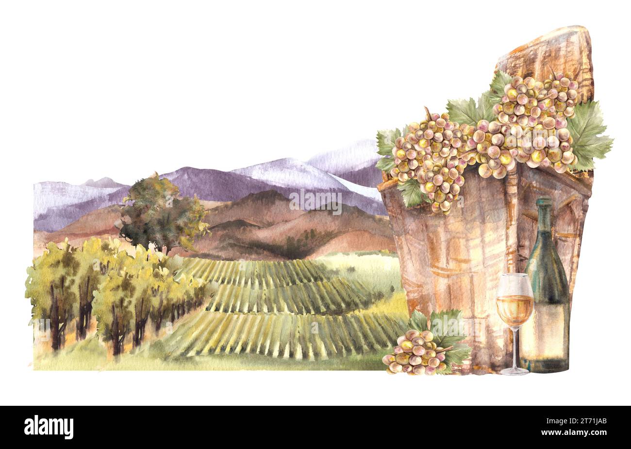 Watercolor rural landscape. Basket with wine grapes, bottle, glass ...