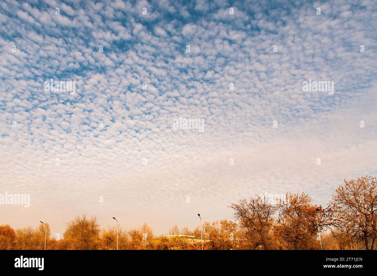 Cirrus clouds floating high in the sky. Blue sky with cirrus clouds ...