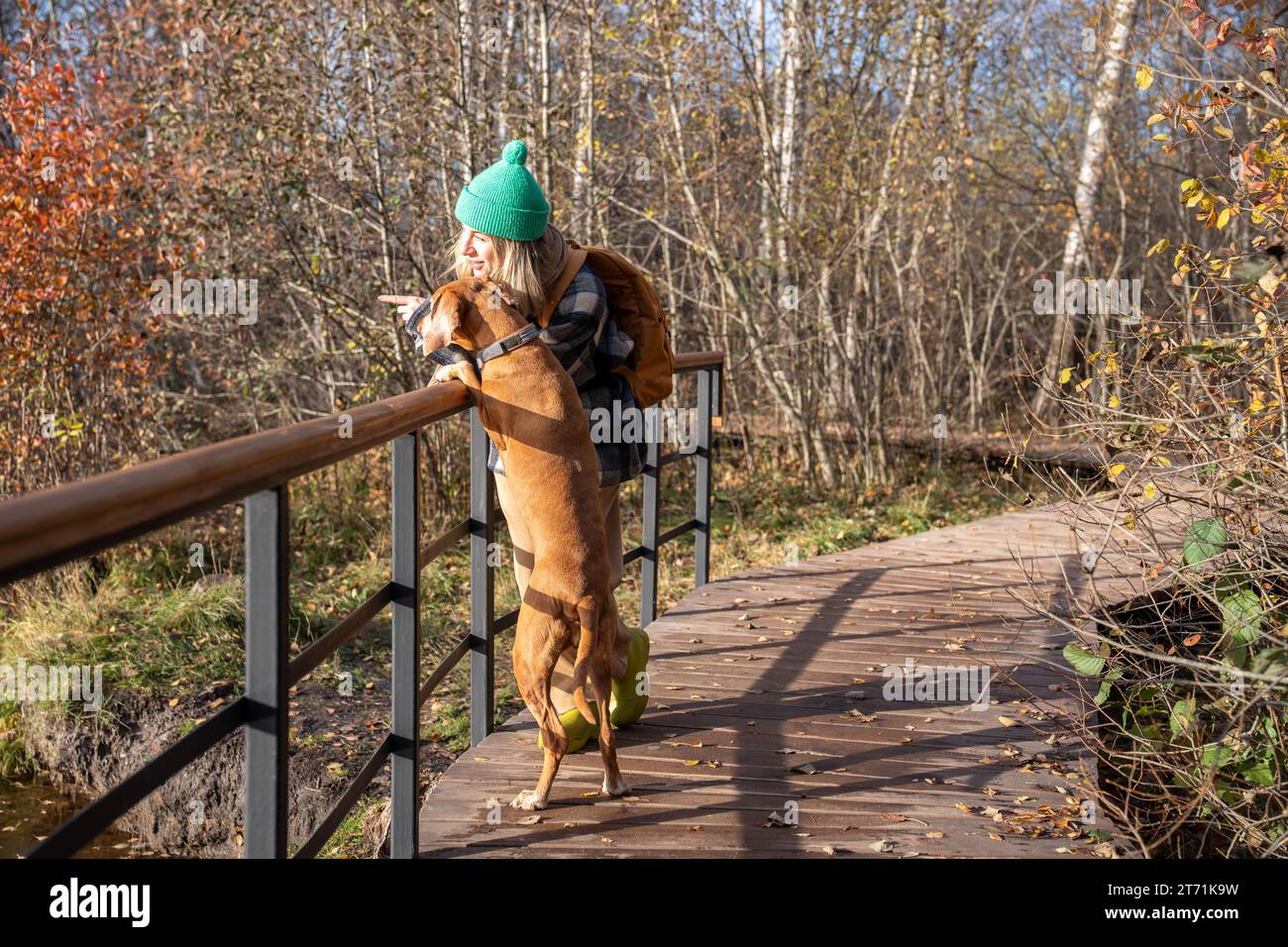 Female pet lover with hound dog standing on bridge watching birds while ...