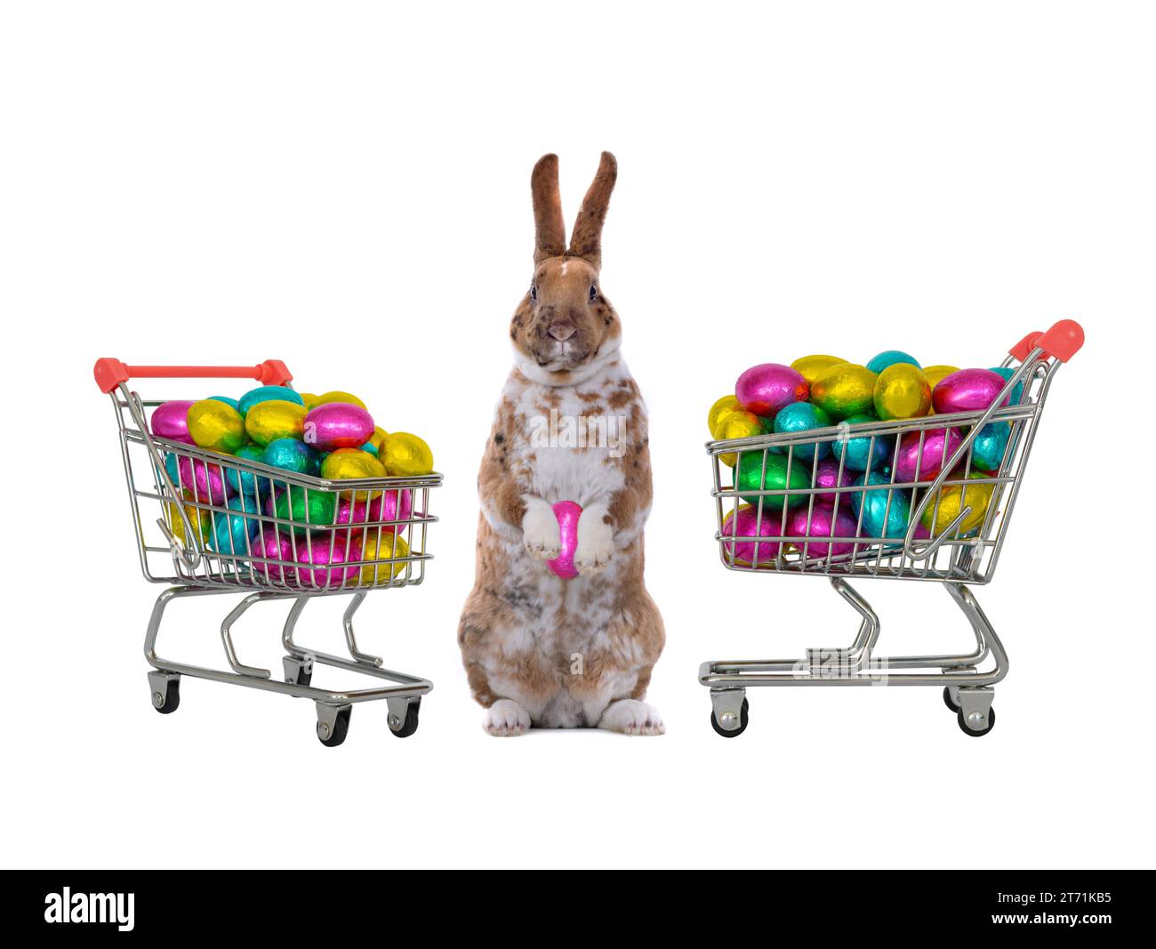 easter bunny standing with basket filled with candy easter eggs ...