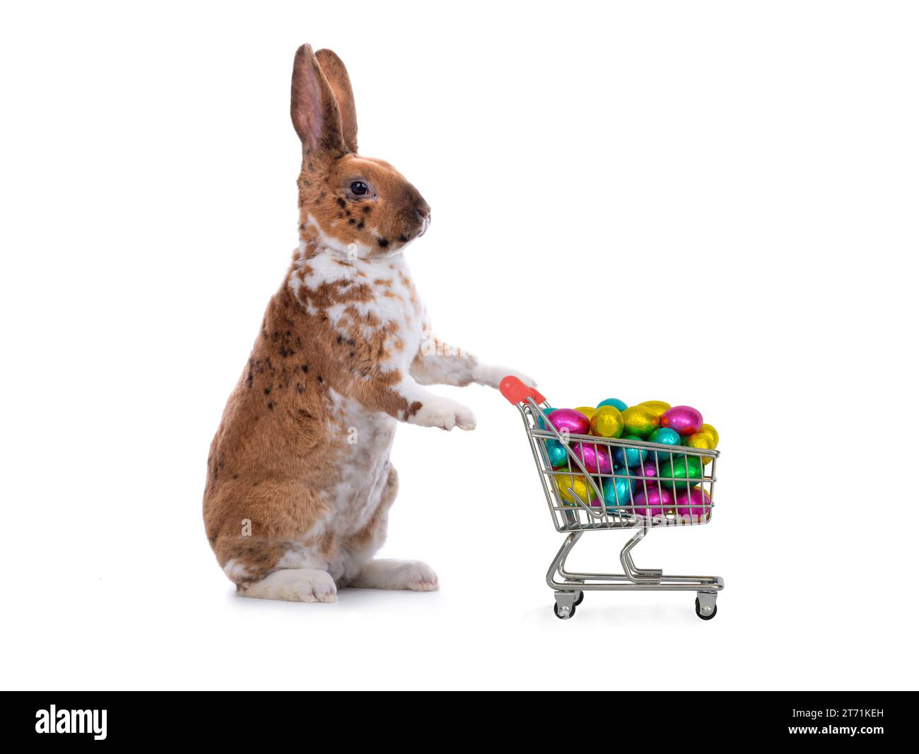shopping trolley filled with multi-colored chocolates in the form of ...