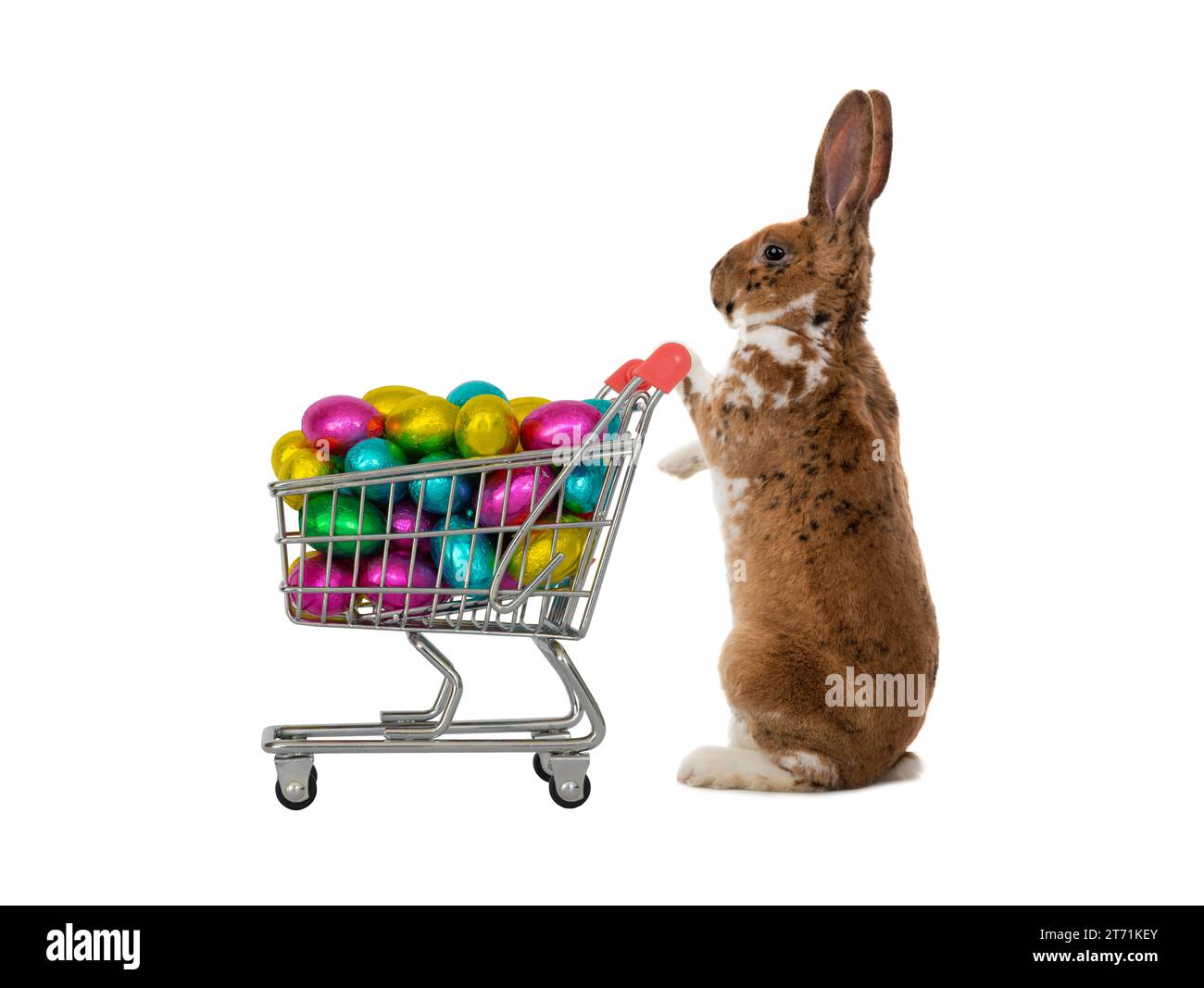 easter bunny standing with basket filled with candy easter eggs ...