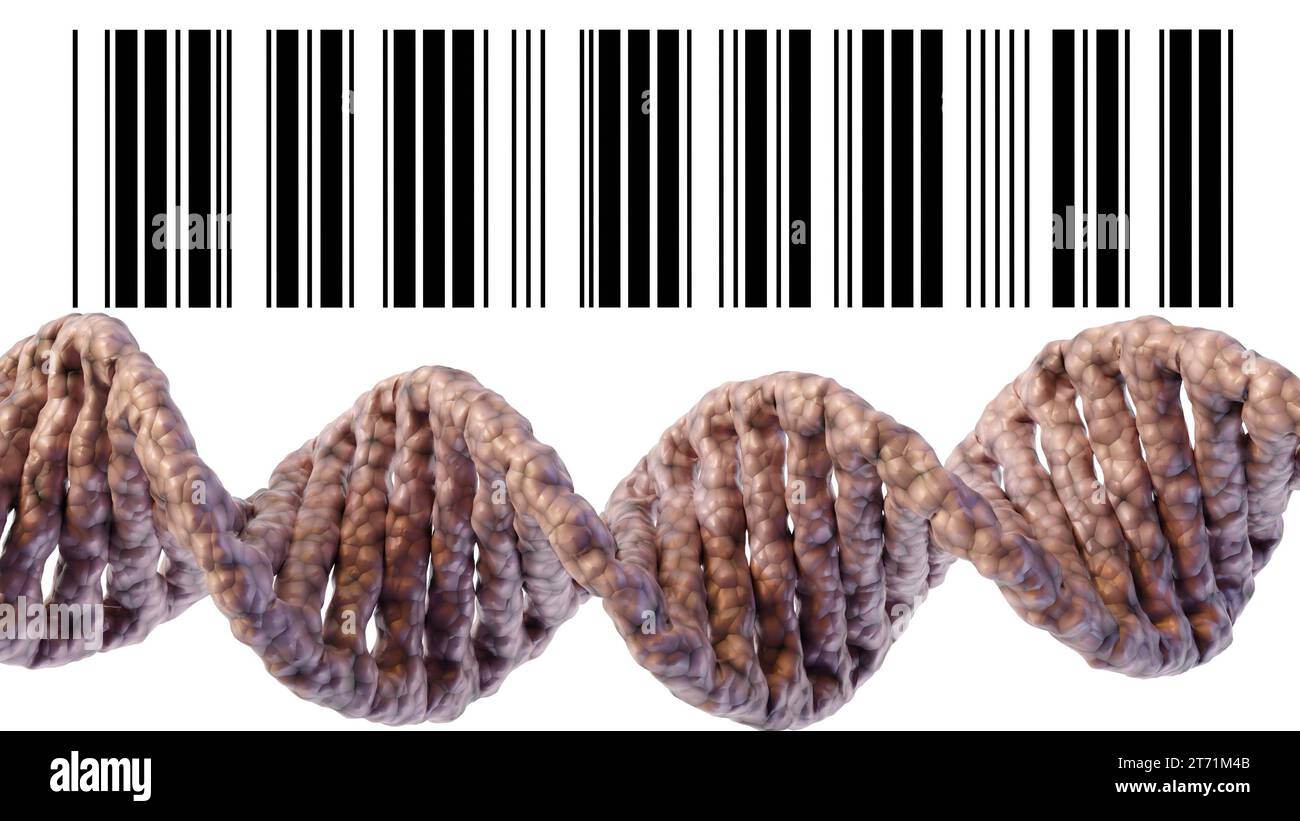Isolated close-up DNA helix and barcode 3D rendering Stock Photo - Alamy