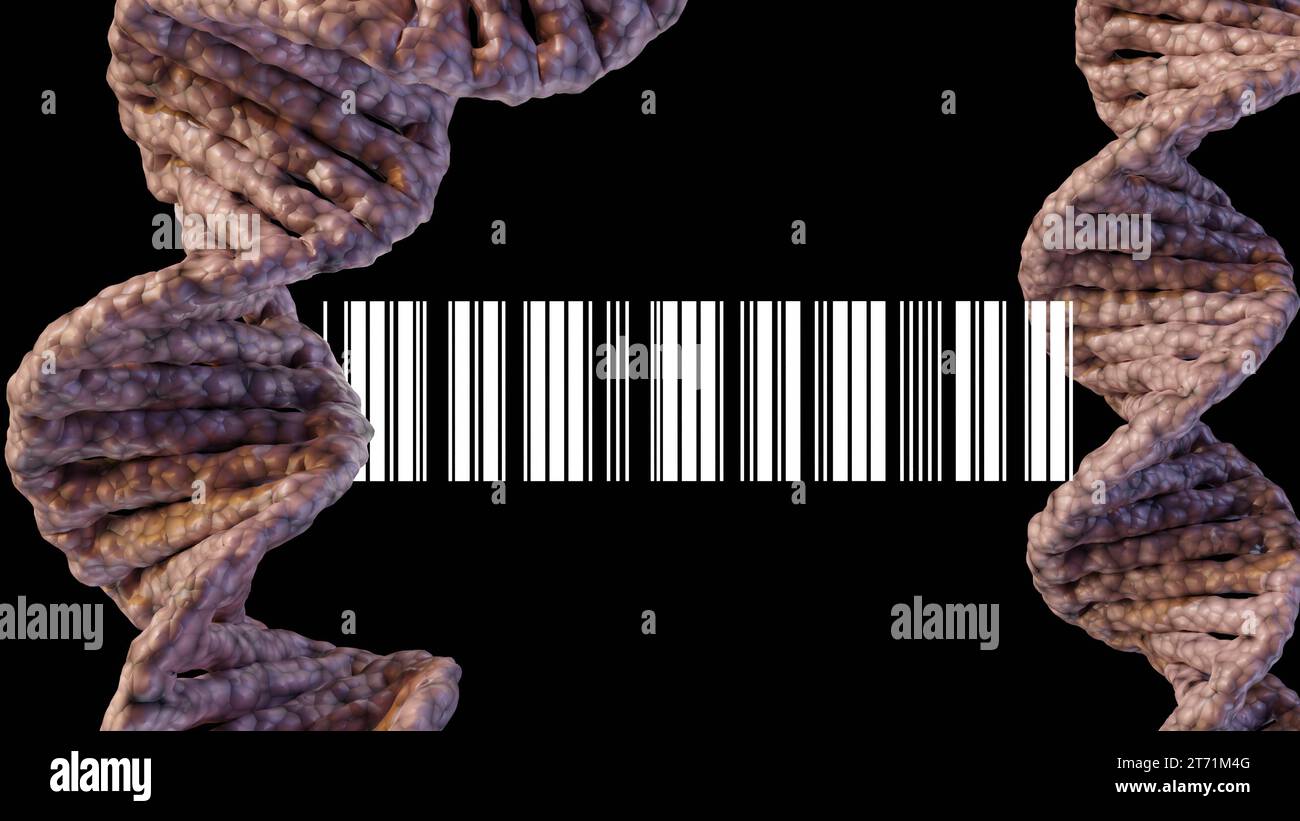 Isolated close-up DNA helix and barcode 3D rendering Stock Photo - Alamy