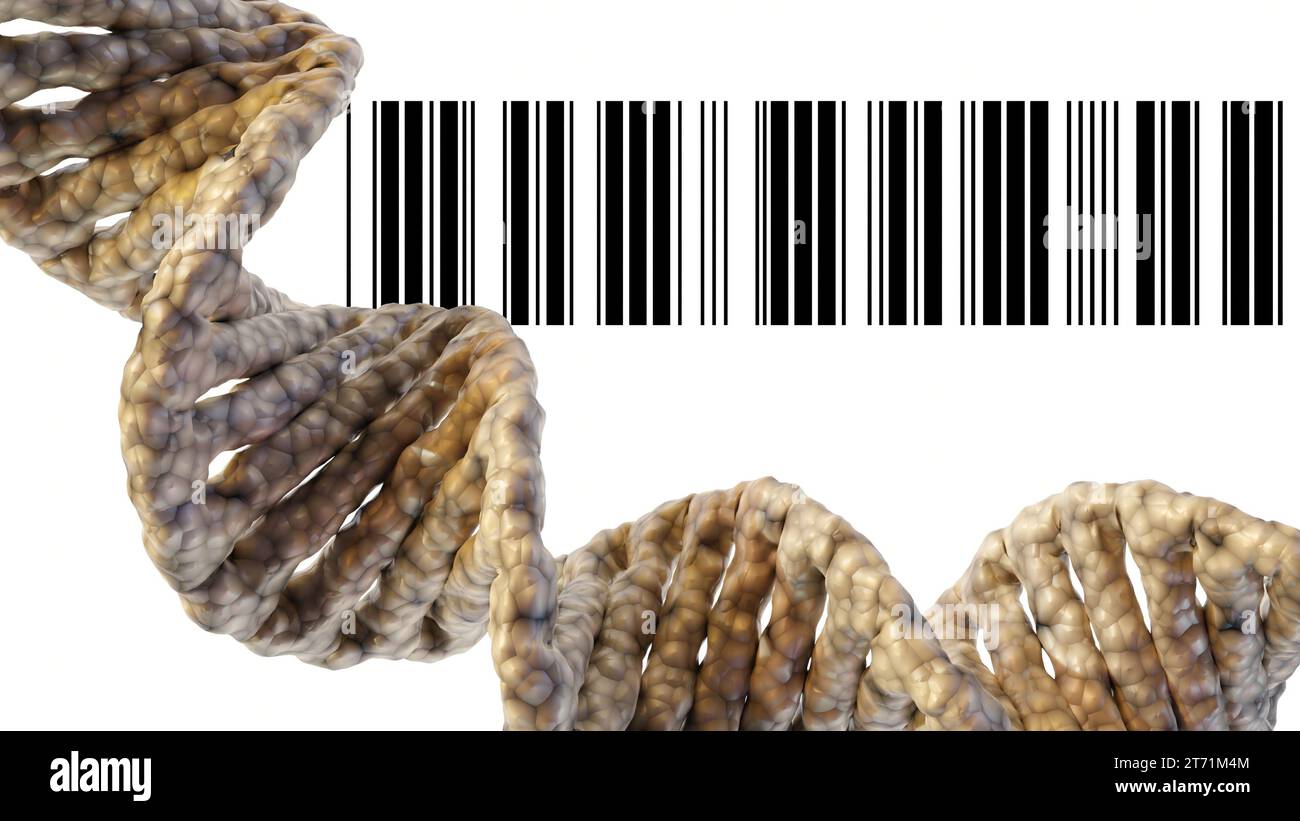 Isolated close-up DNA helix and barcode 3D rendering Stock Photo - Alamy