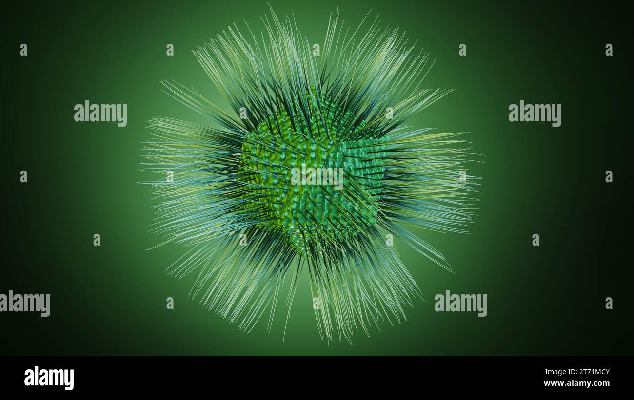Mimivirus is a genus of giant viruses, in the family Mimiviridae. A ...