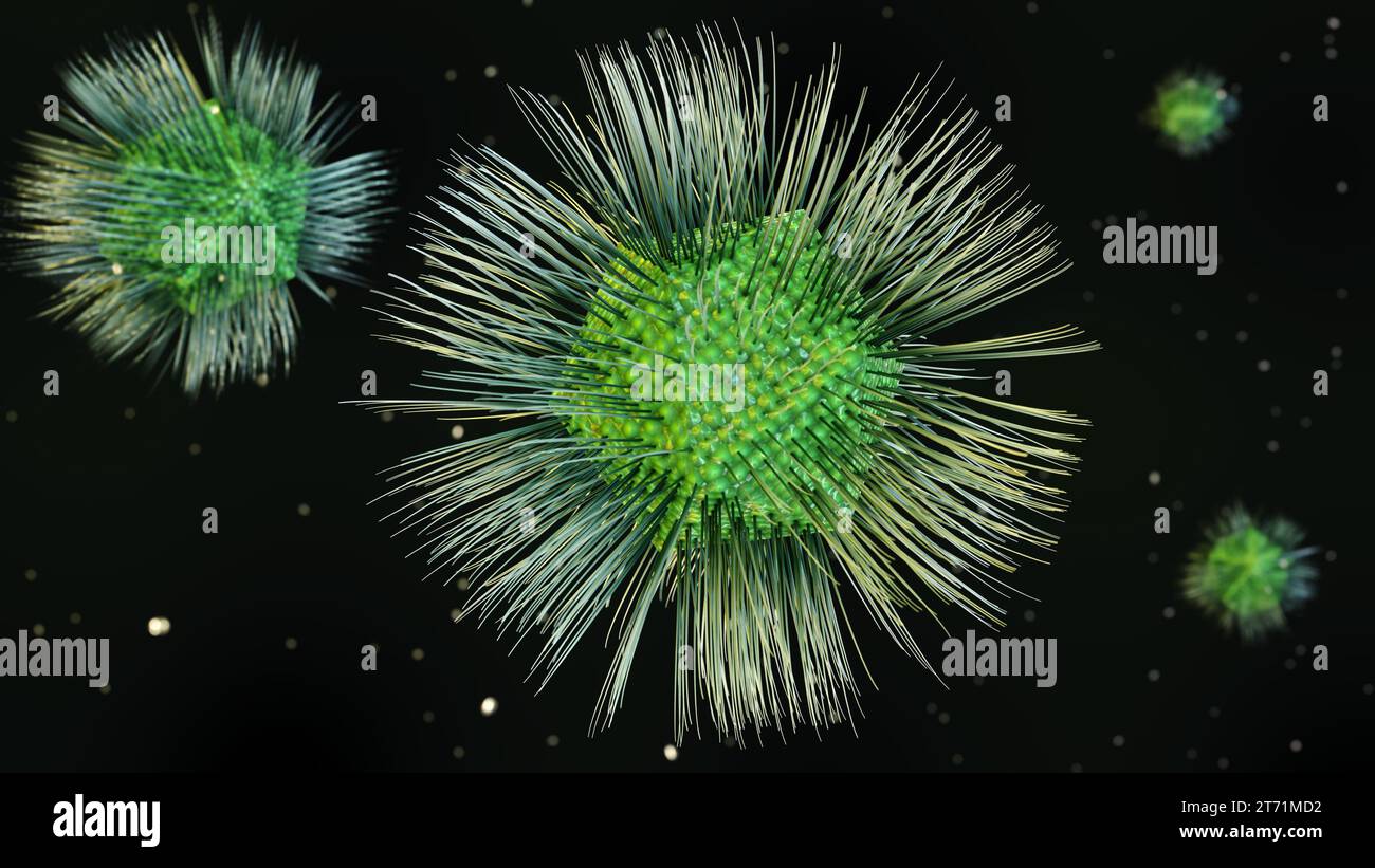 Mimicking microbe hi-res stock photography and images - Alamy