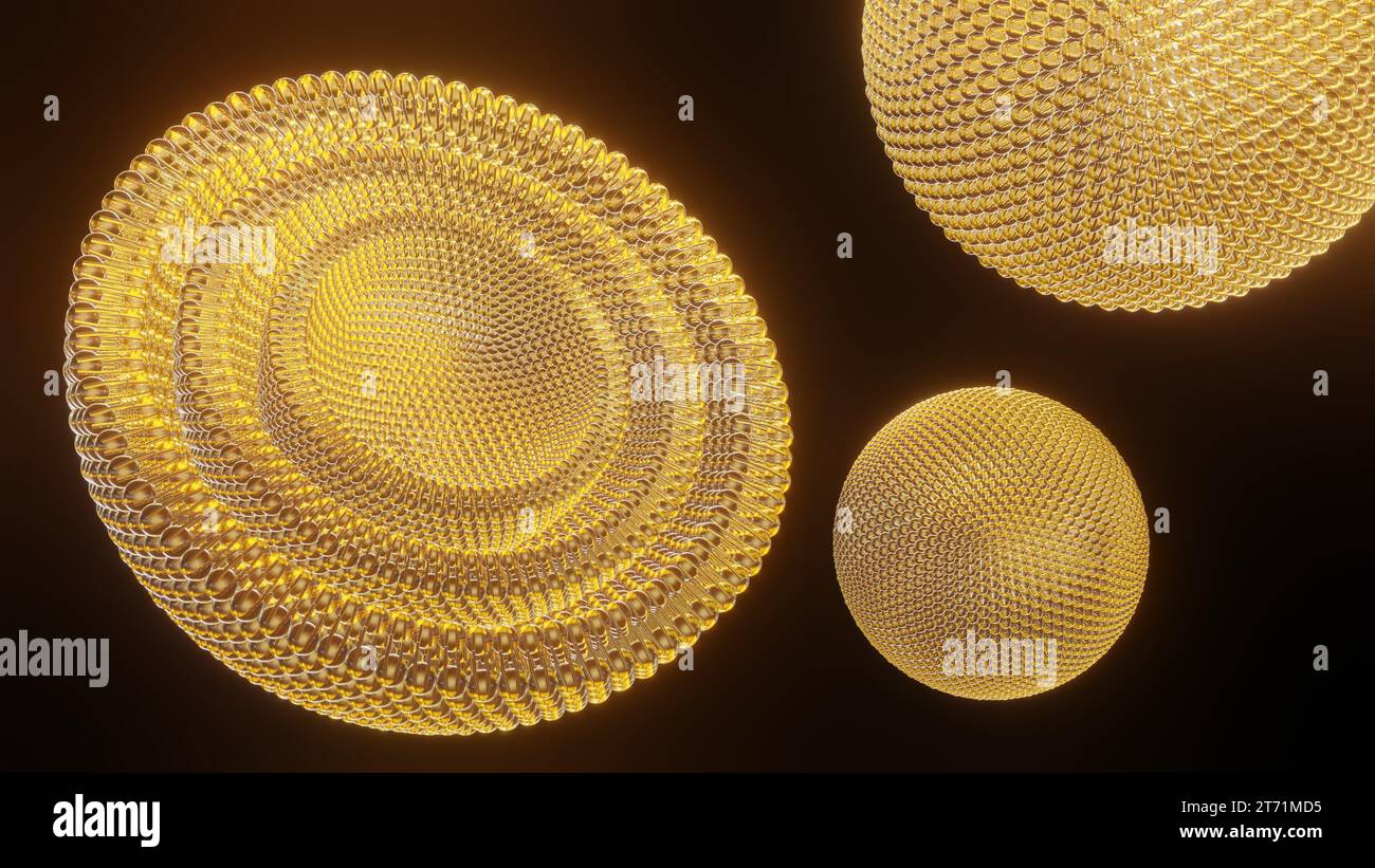 Isolated multilamellar vesicle or multilayered liposome in the black ...
