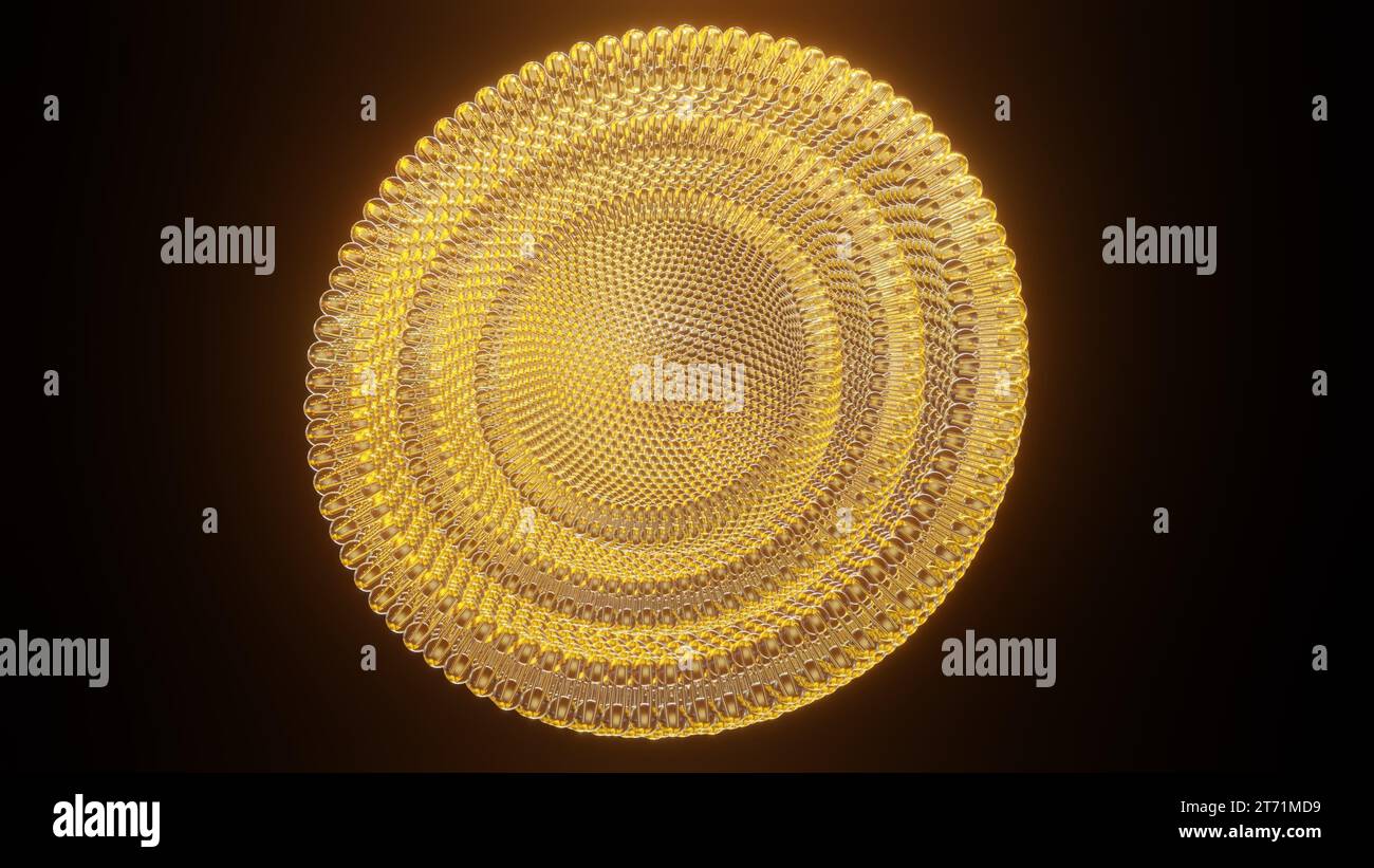 Isolated multilamellar vesicle or multilayered liposome in the black ...