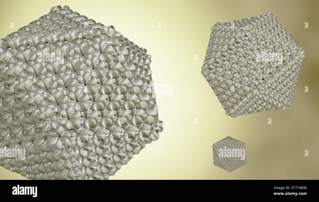 Sputnik utilizes the helper virus's machinery for reproduction and ...