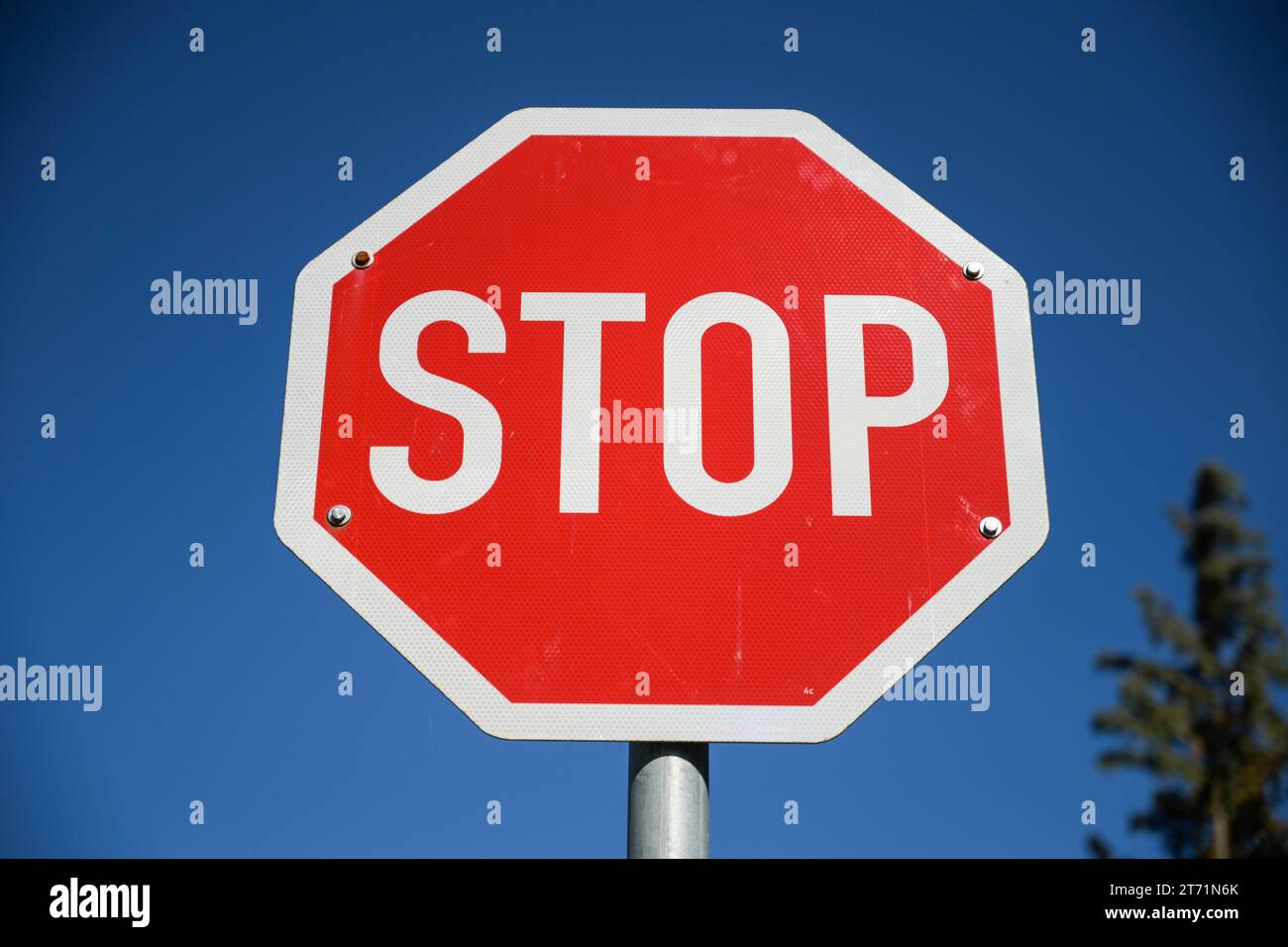 Stop Verkehrsschild, Deutschland Stock Photo - Alamy