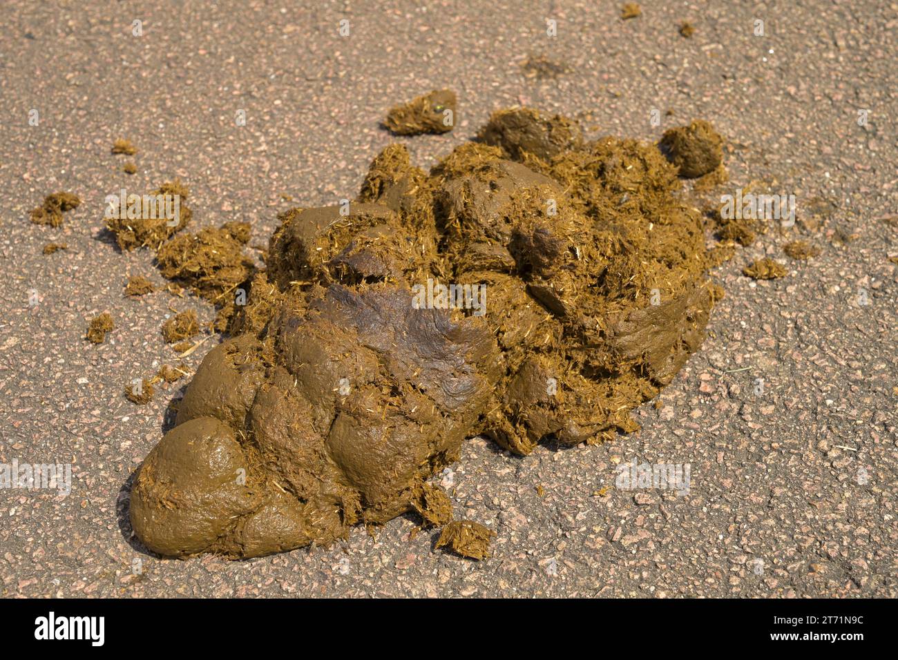 Pferdekot auf der Straße, Deutschland Stock Photo - Alamy