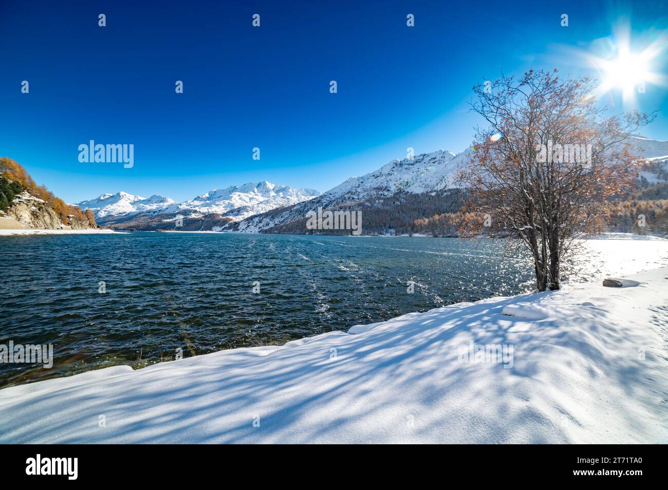 Engadine, Switzerland, Sils Maria lake, the village of Isola and the ...
