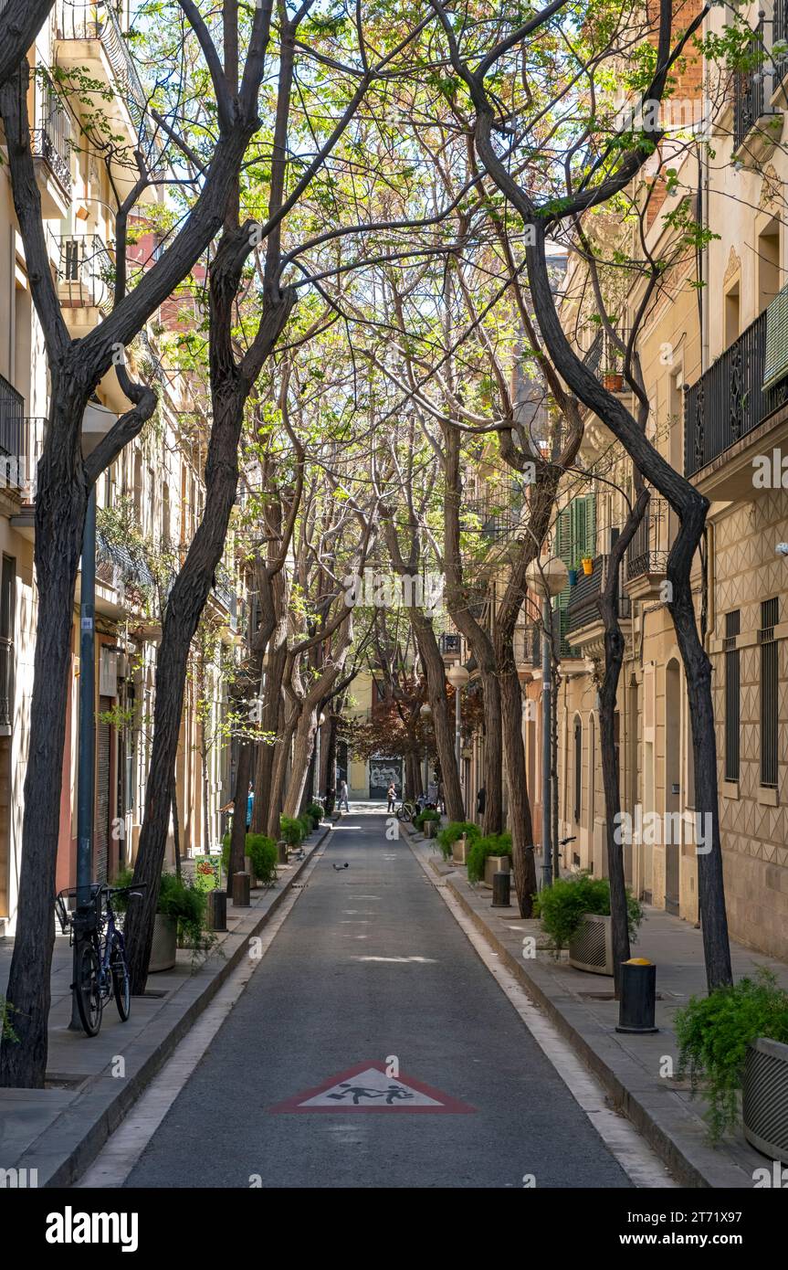 Typical tree-lined back-street, Barcelona, Spain Stock Photo - Alamy