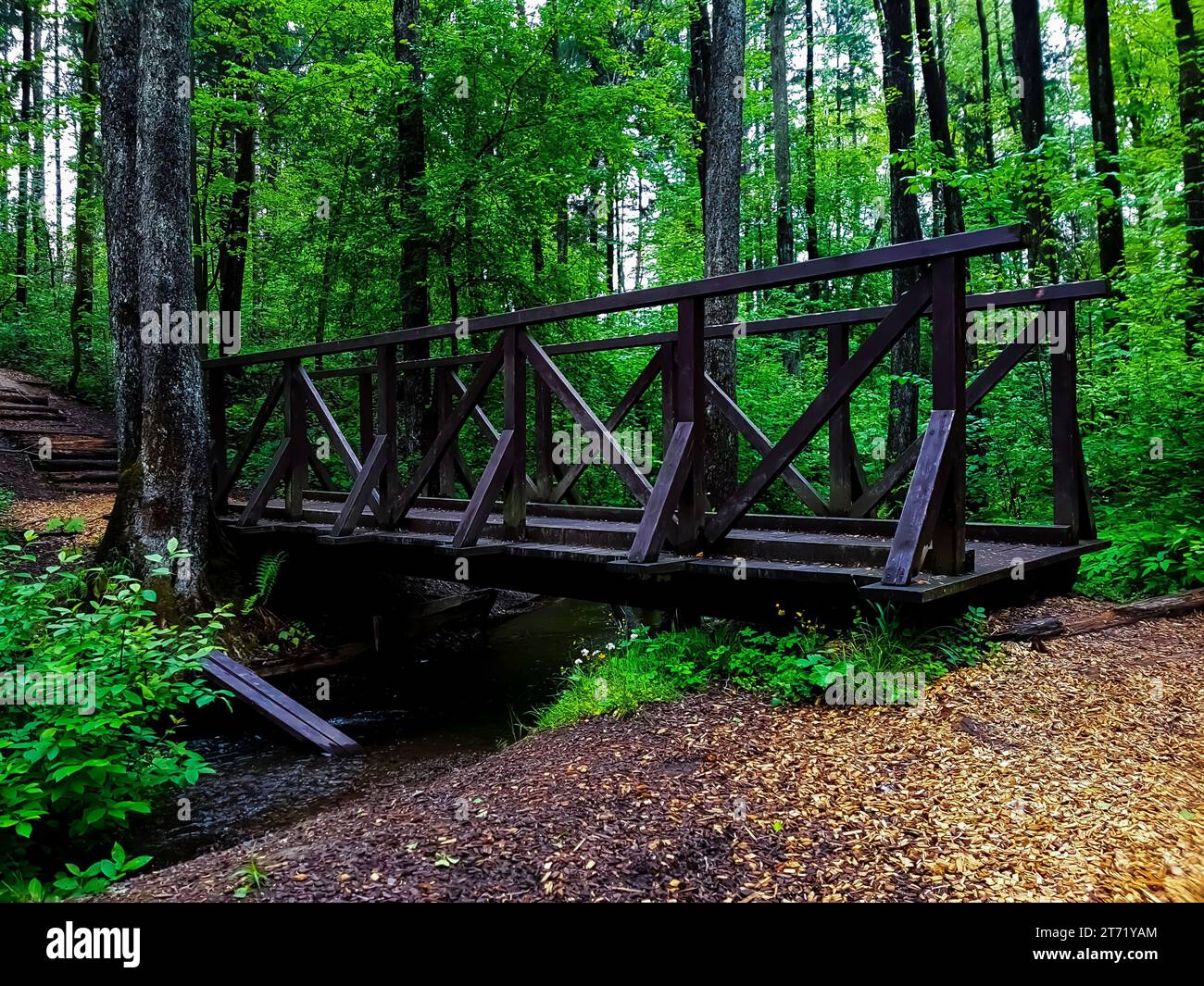 An aged bridge arching over a tranquil creek, leading to a serene ...