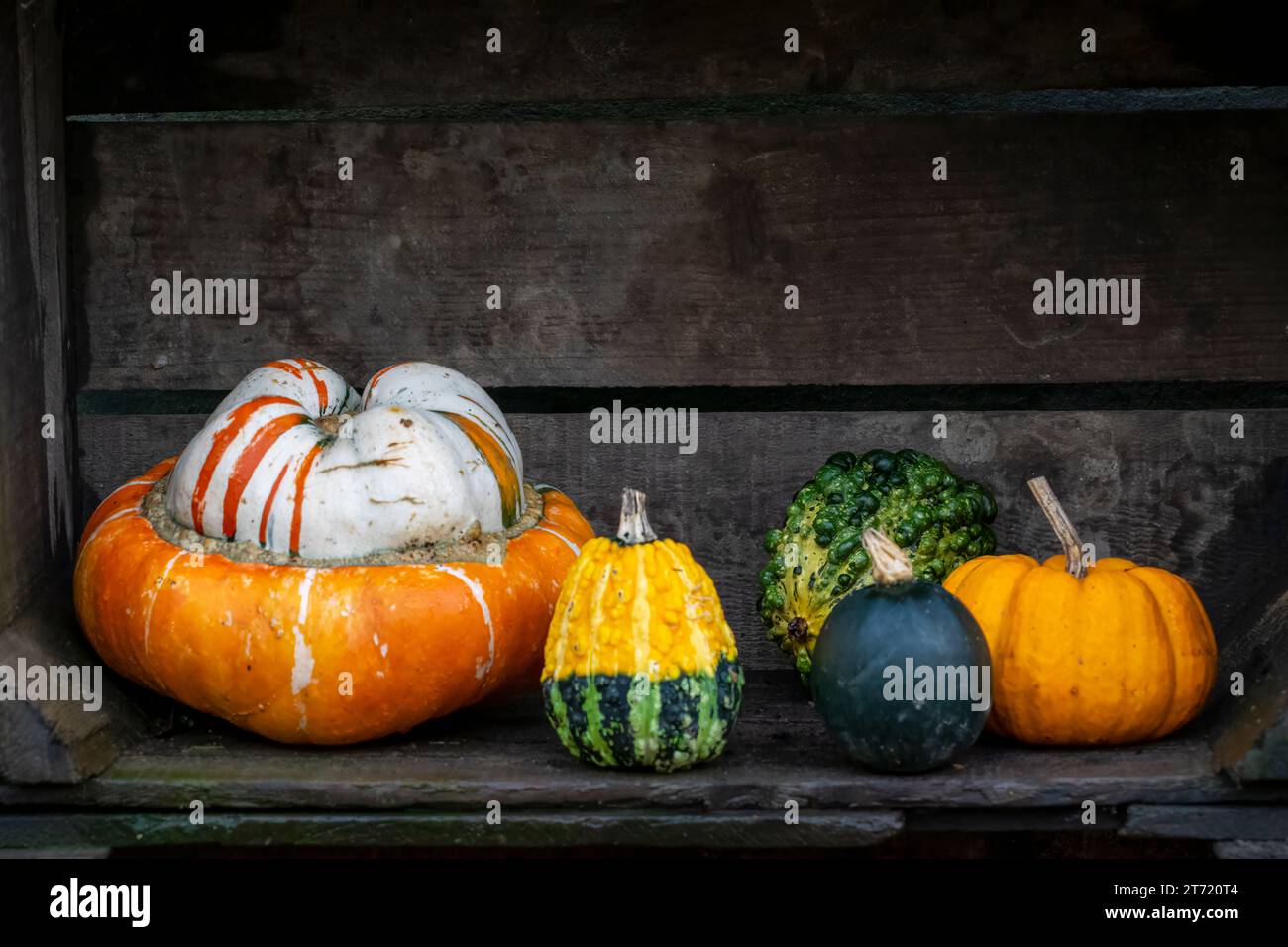 An Assortment of various Gourds in a Wooden Enclosure Stock Photo - Alamy