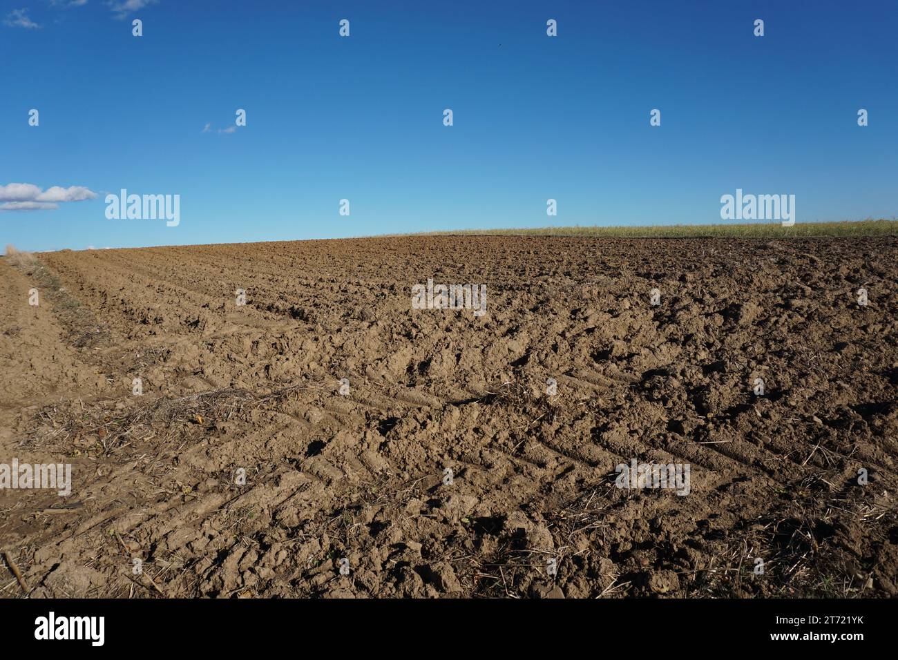 Empty text field hi-res stock photography and images - Alamy