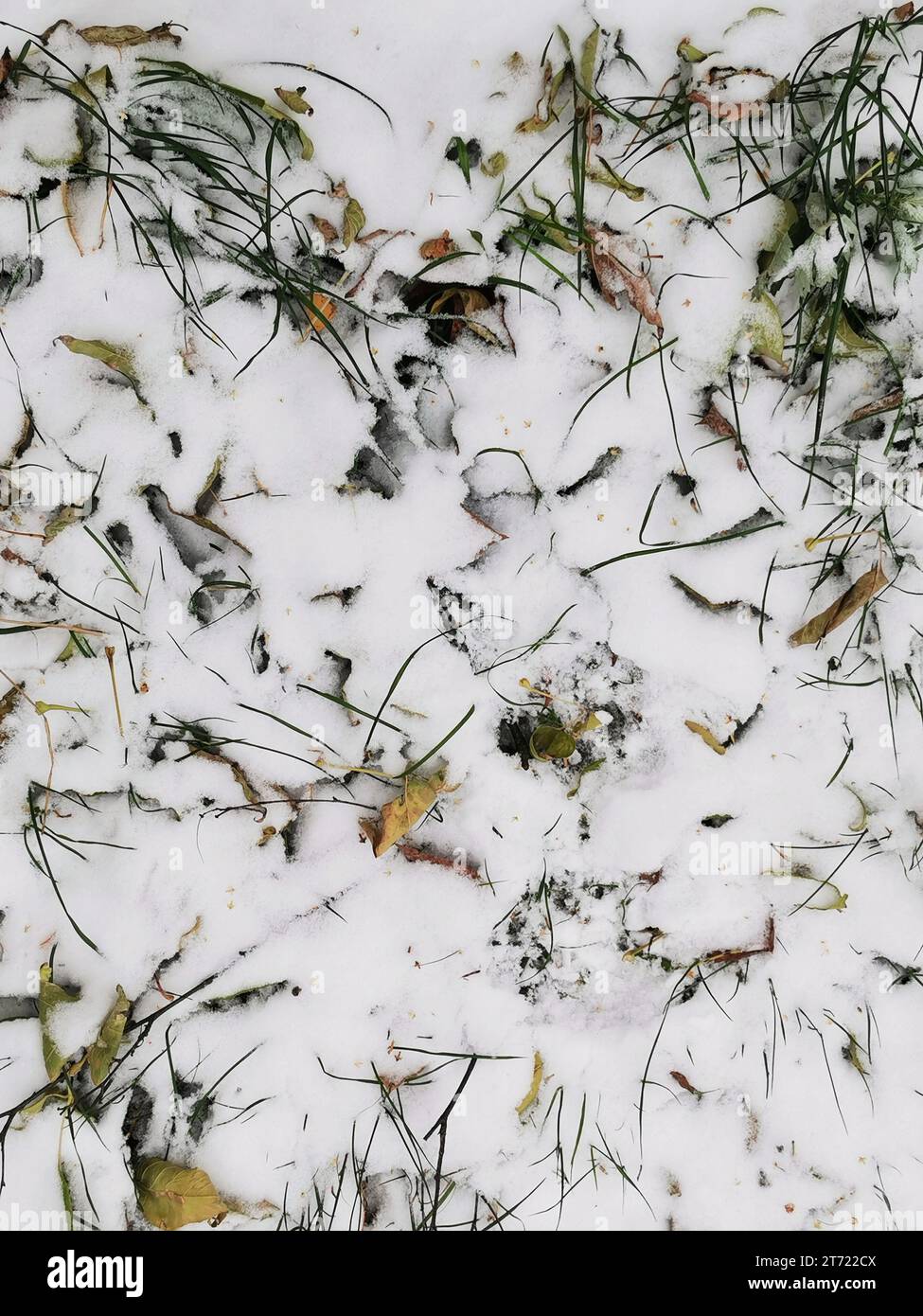 Seasons first snowfall hi-res stock photography and images - Alamy