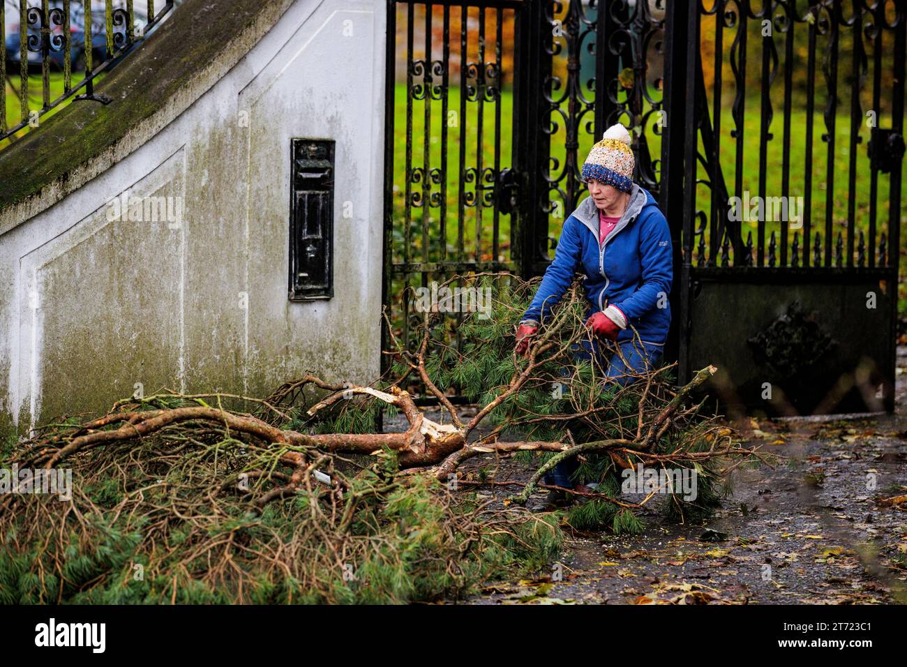 A woman clears a fallen tree on the Dublin Road in Dundalk, Co Louth ...