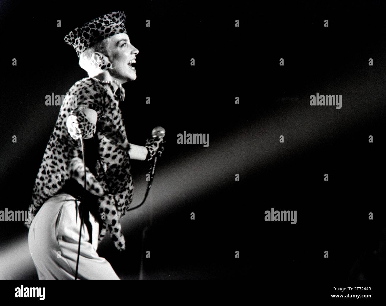 Annie Lennox singer of the Eurythmics in concert called Touch in De ...