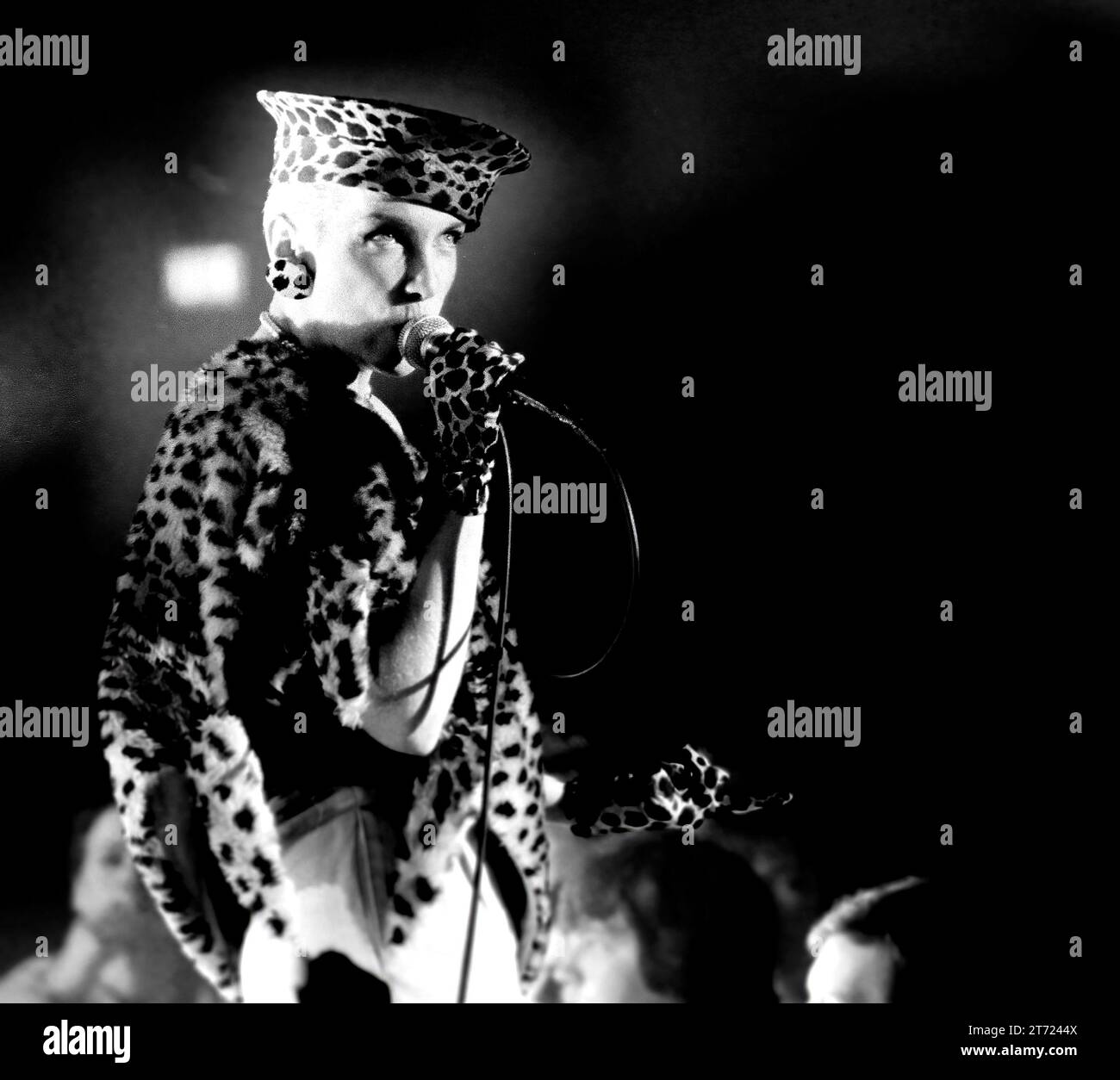 Annie Lennox singer of the Eurythmics in concert called Touch in De ...